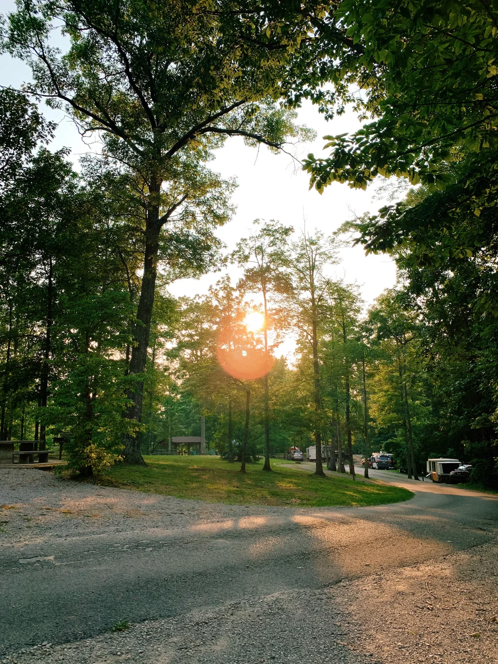 PICKETT CCC MEMORIAL STATE PARK — WILDERONES