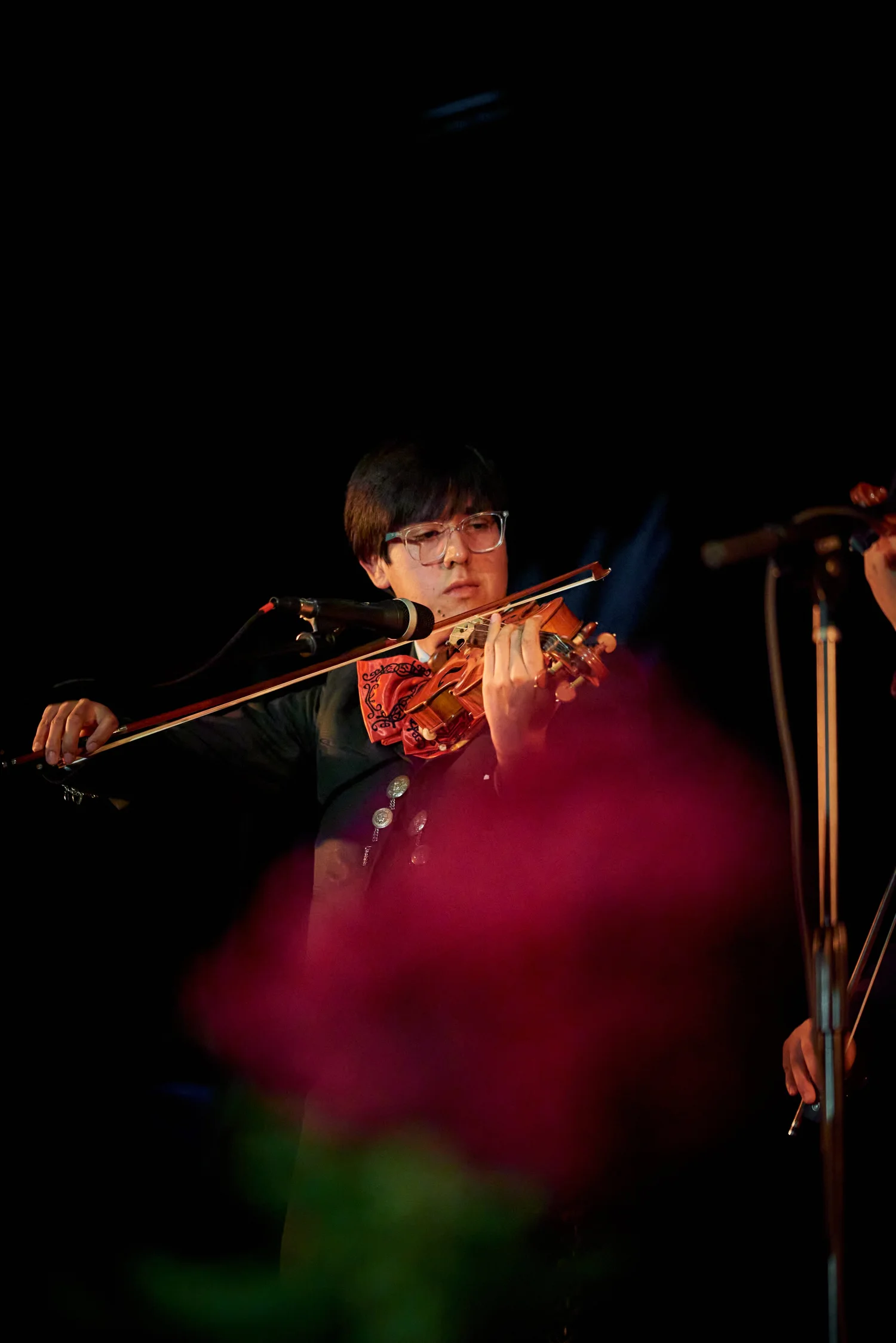 Mariachi Violin — Palenke Arts