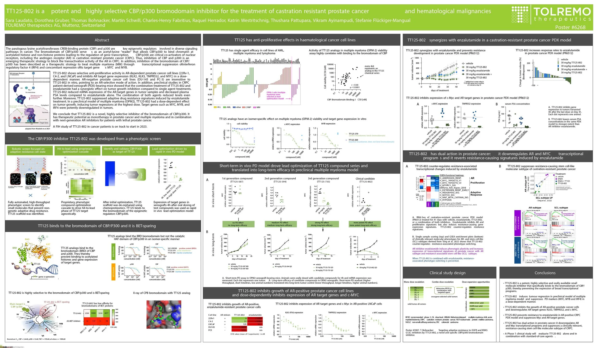 Our Approach — TOLREMO therapeutics: Stopping Non-genetic Cancer Drug ...