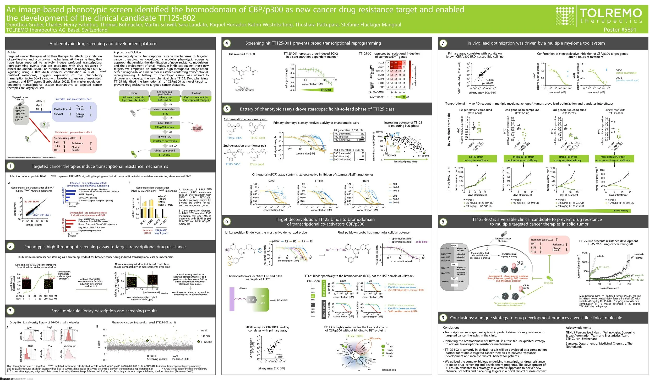 Our Approach — TOLREMO therapeutics: Stopping Non-genetic Cancer Drug ...