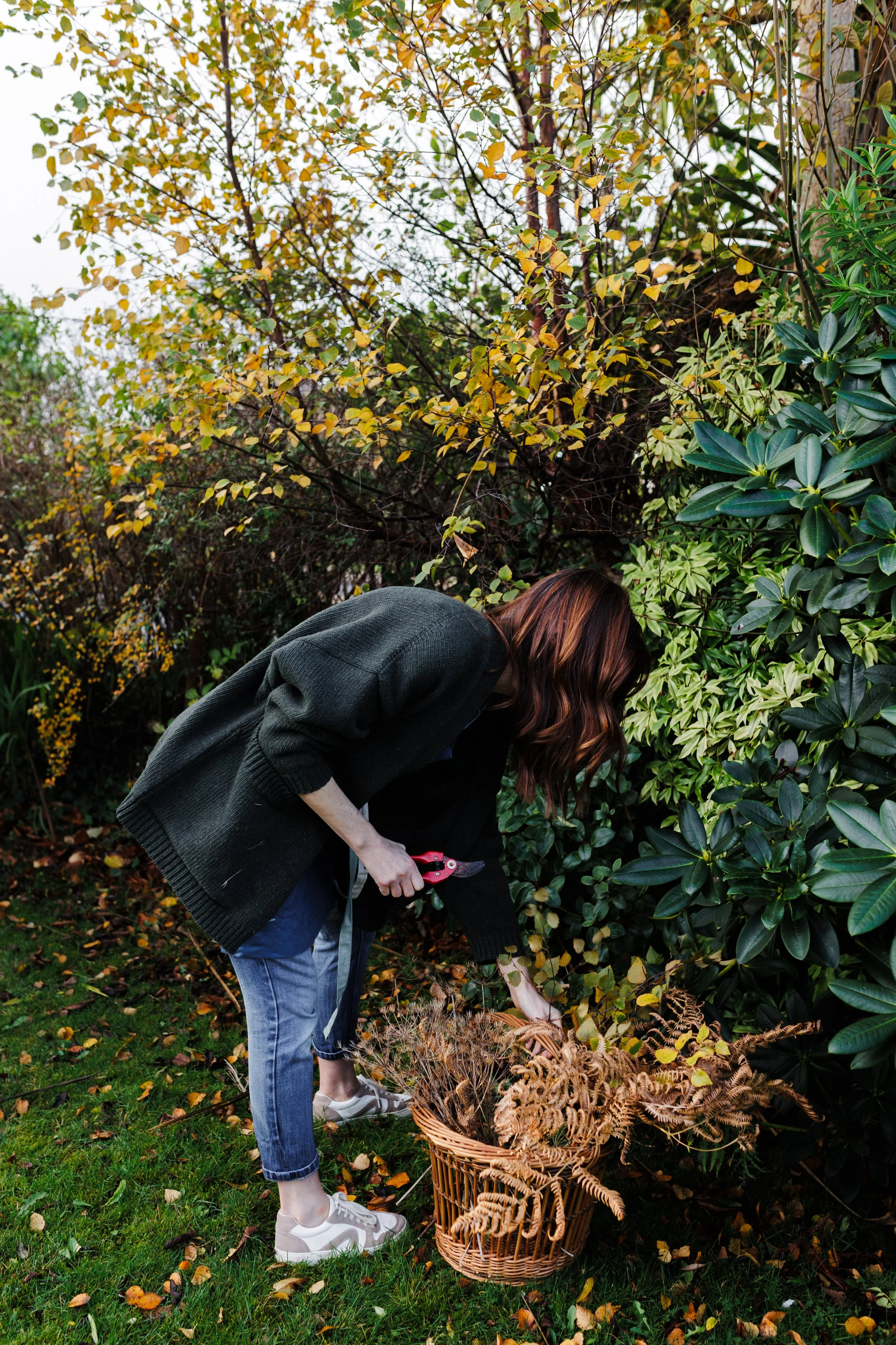 Ruth Osborne — Native Ivy