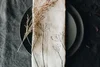 Ruth Osborne Art — Native Ivy