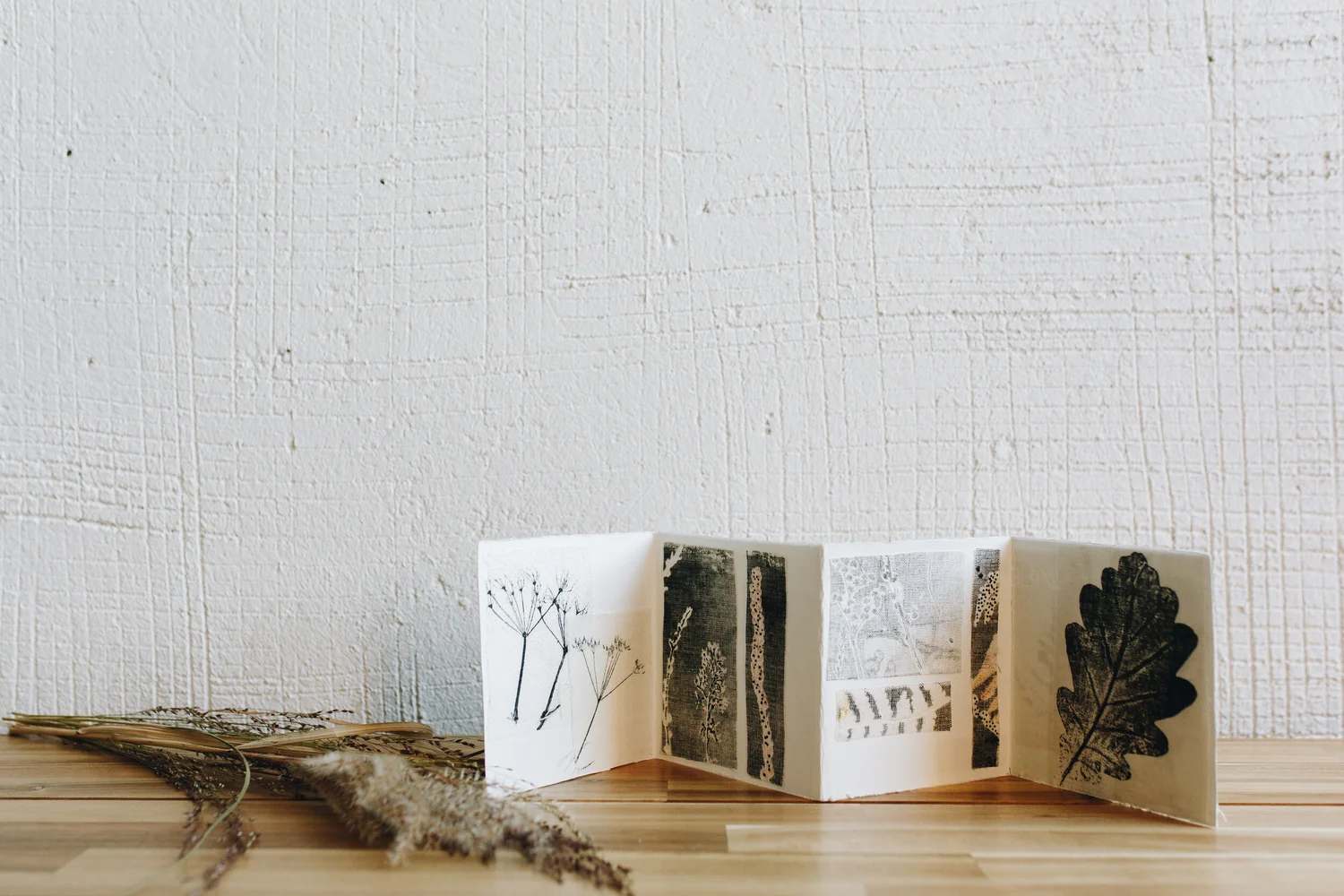 Ruth Osborne Art — Native Ivy