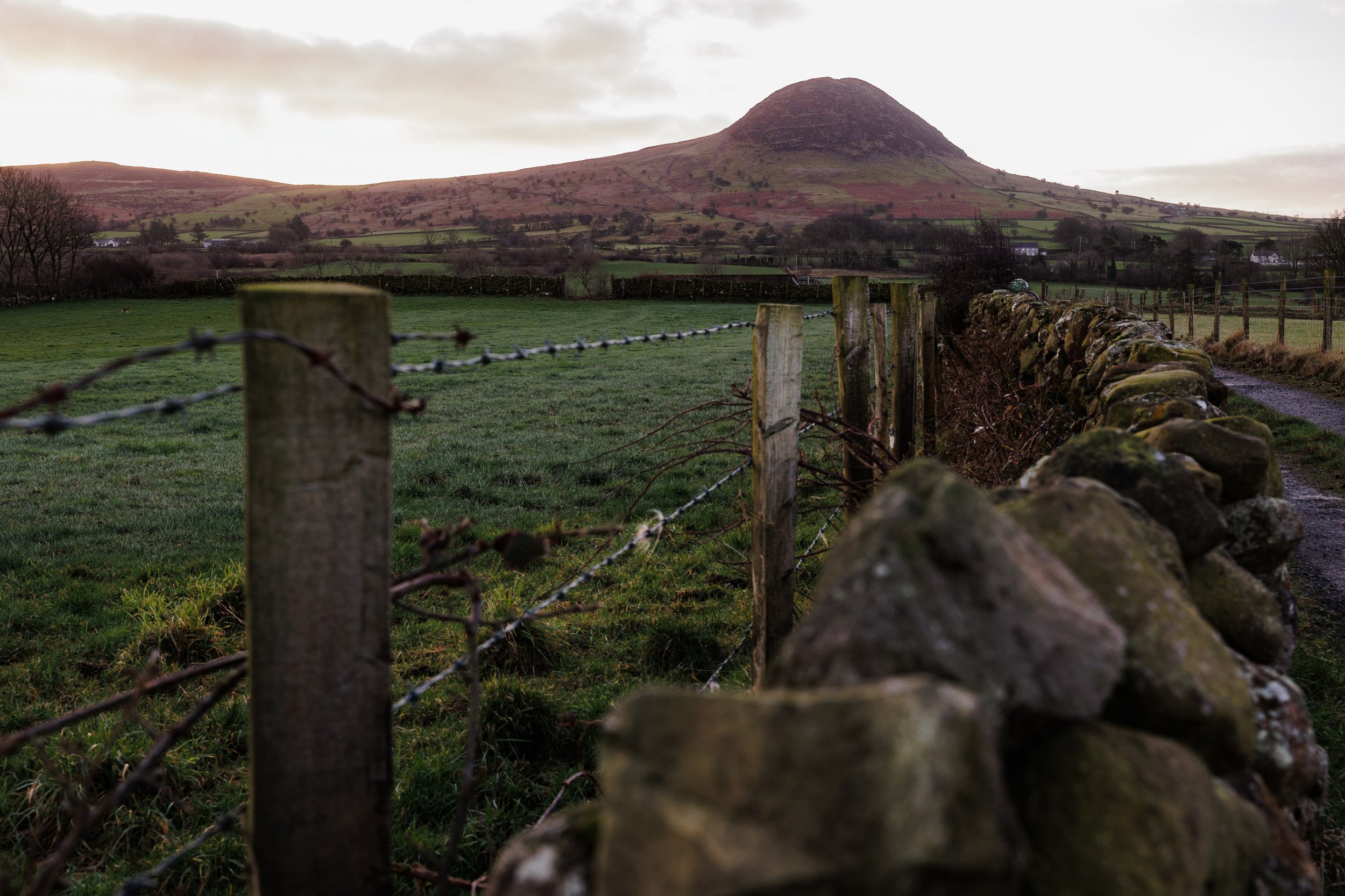 Slemish Hideaway — Native Ivy