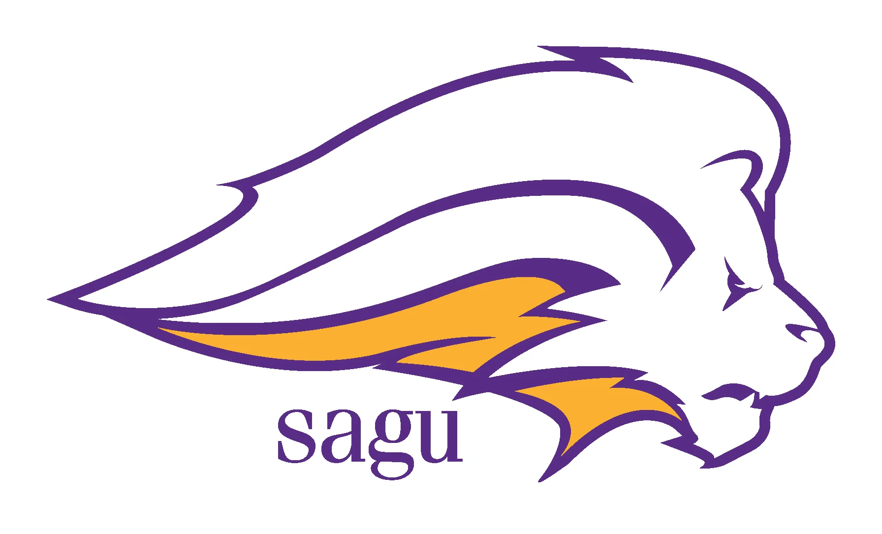 Academics — SAGU Valor