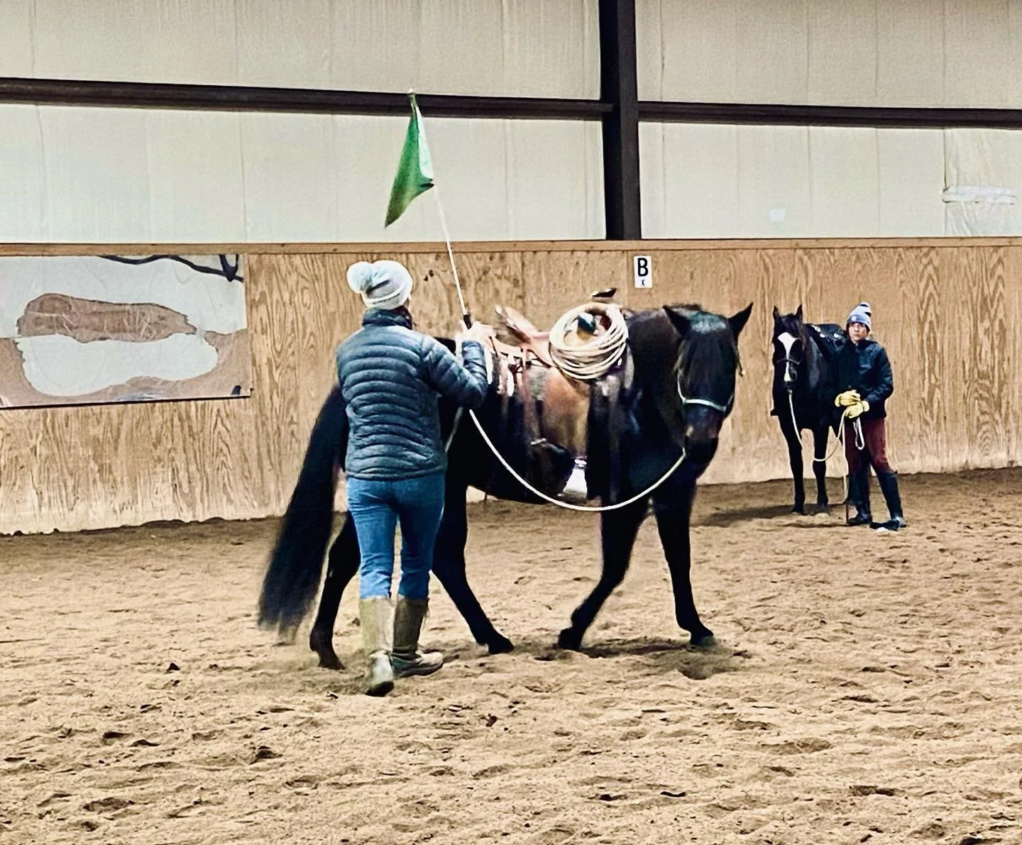 Events & Clinics — Rising Hope Equestrian Center