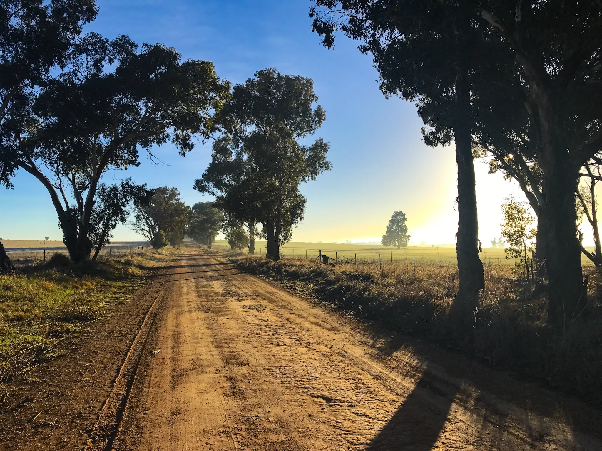 Our Region — Regional Development Australia - Riverina NSW