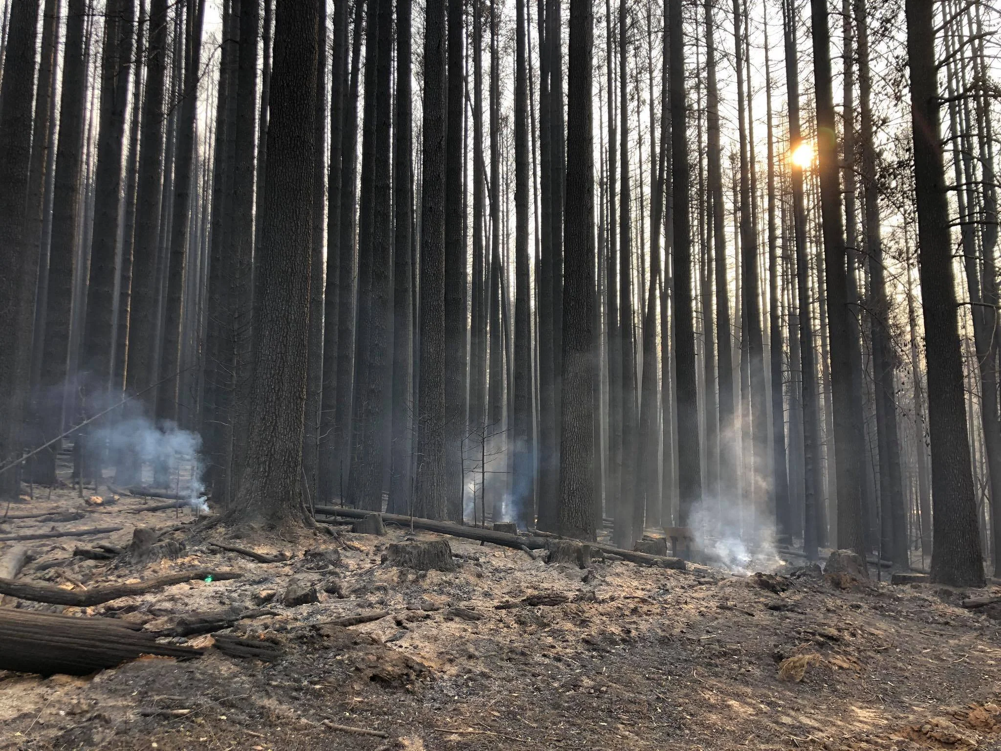 State Government 'One-stop Shop' for bushfire affected communities ...