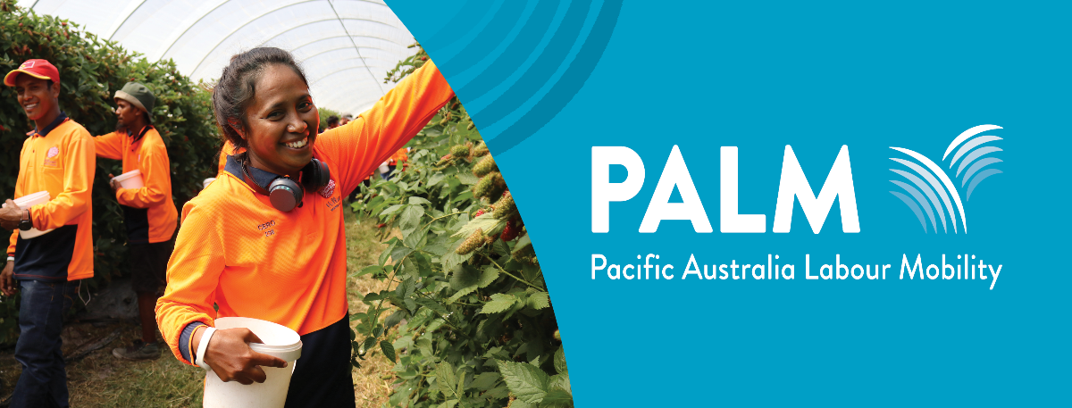 Pacific Australia Labour Mobility (PALM) Scheme | Information Session ...
