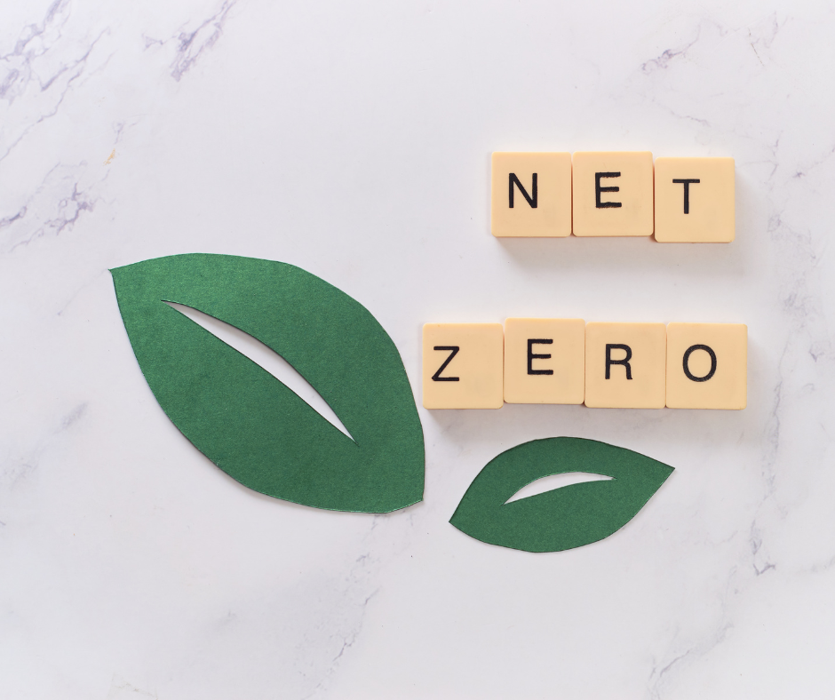 CEDA | Mapping the energy sectors path to NetZero — Regional ...