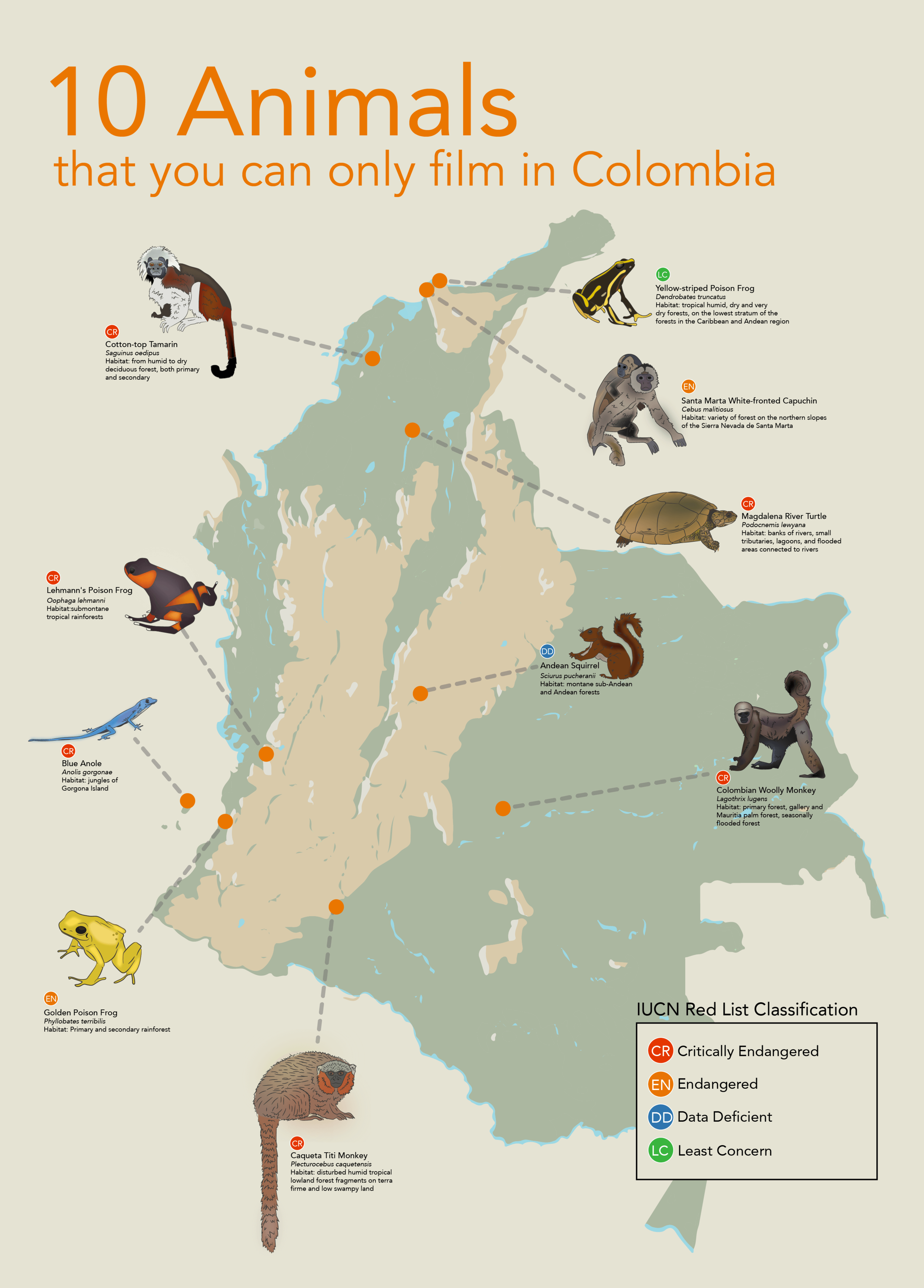 Top 10 Animals That You Can Only Film In Colombia | WhereNext