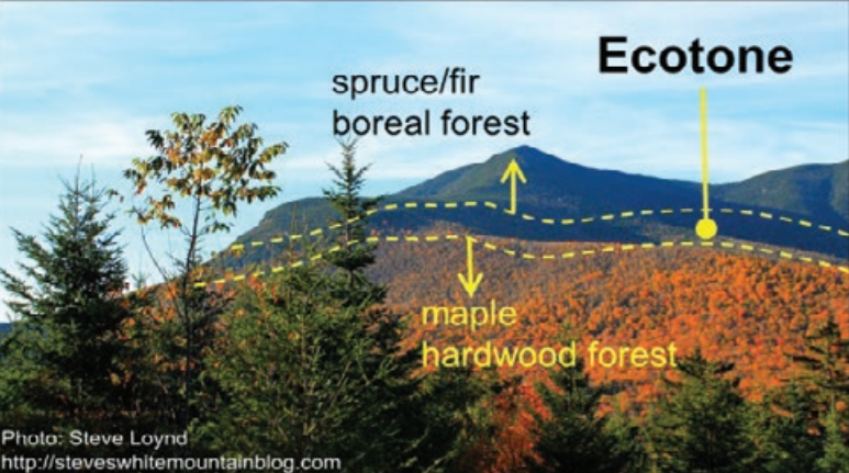 Climate Change Refugia