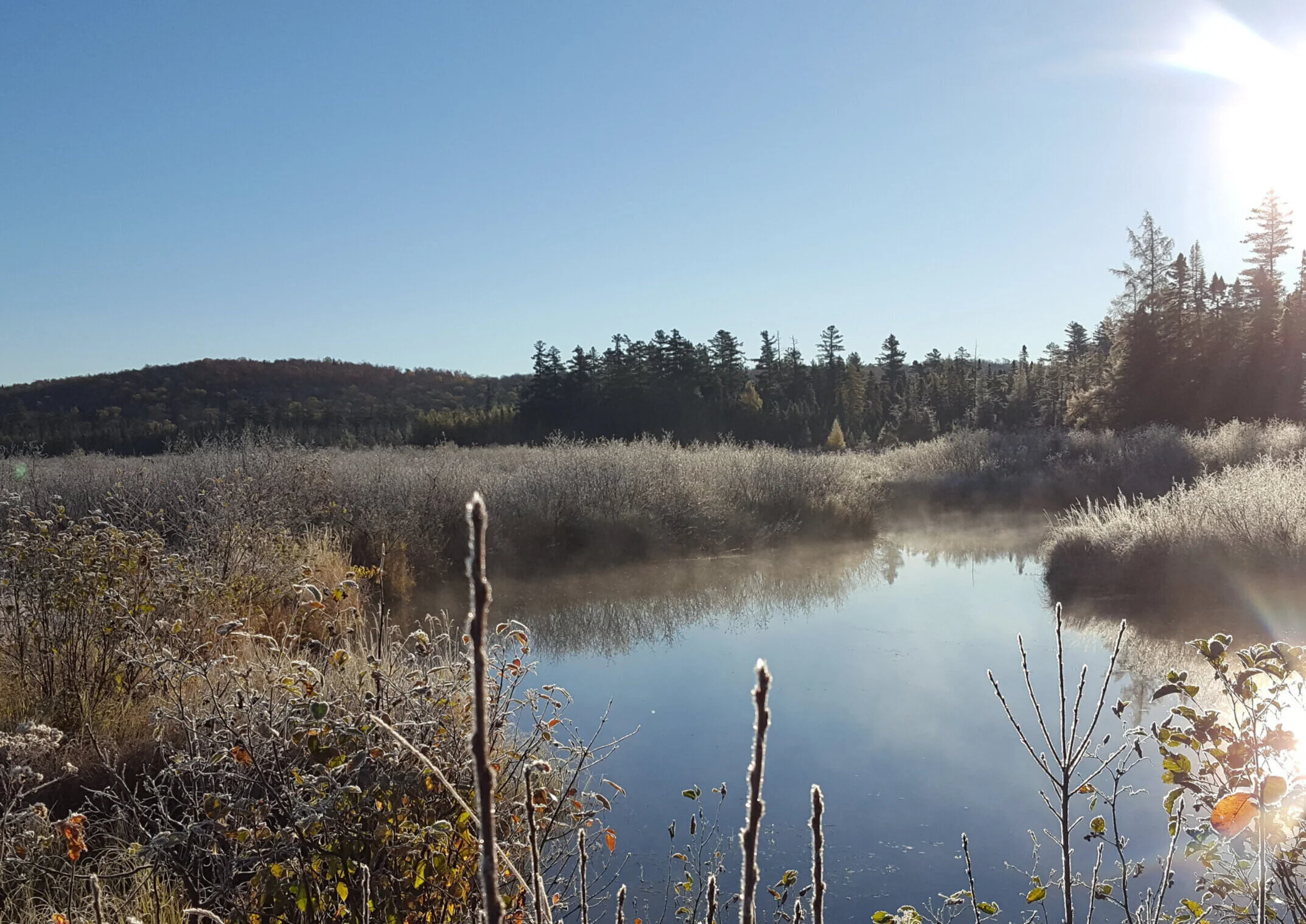 Refugia Research Coalition