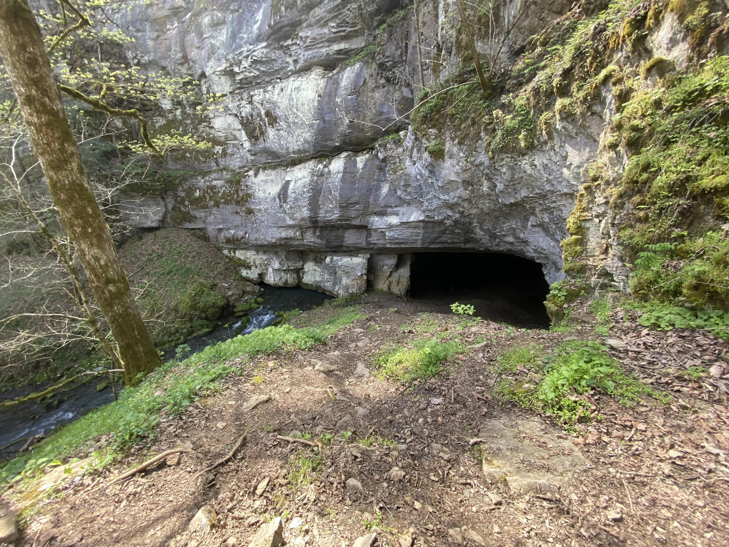 Climate Change Refugia