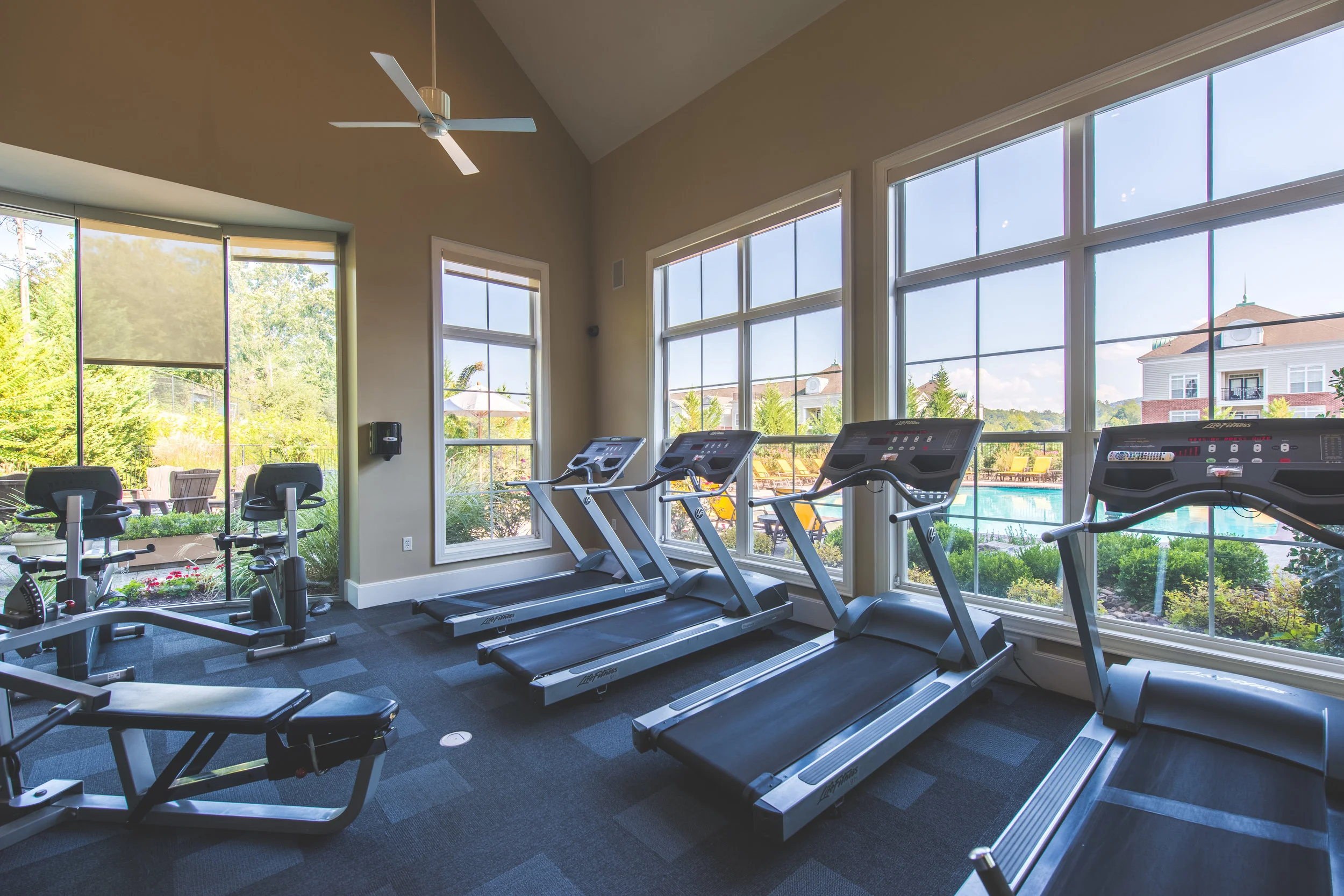 UNIVERSITY EDGE | GALLERY