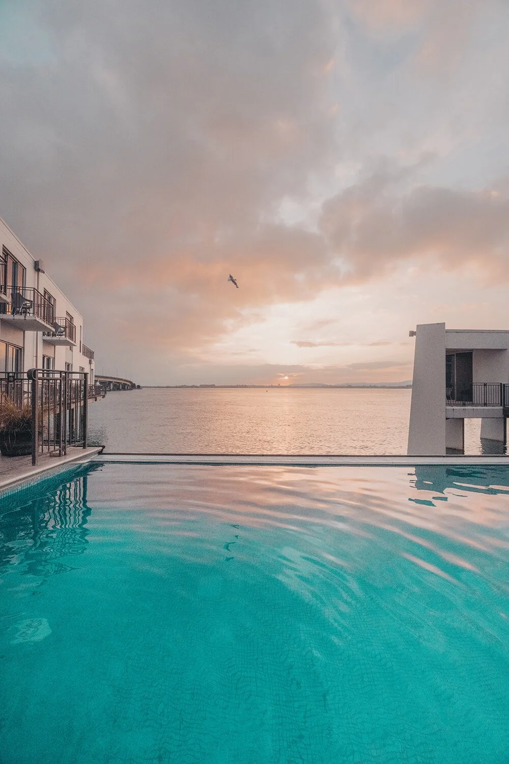 Gallery | Trinity Wharf Tauranga