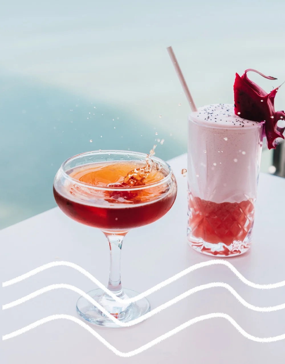 What's On at Trinity Wharf | Trinity Wharf Tauranga