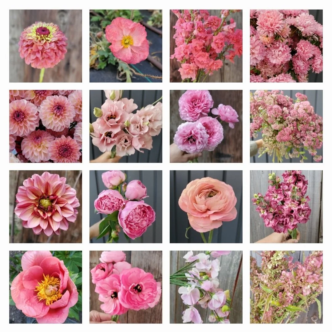 Farm-Fresh Color Palettes — Flathead Farmworks