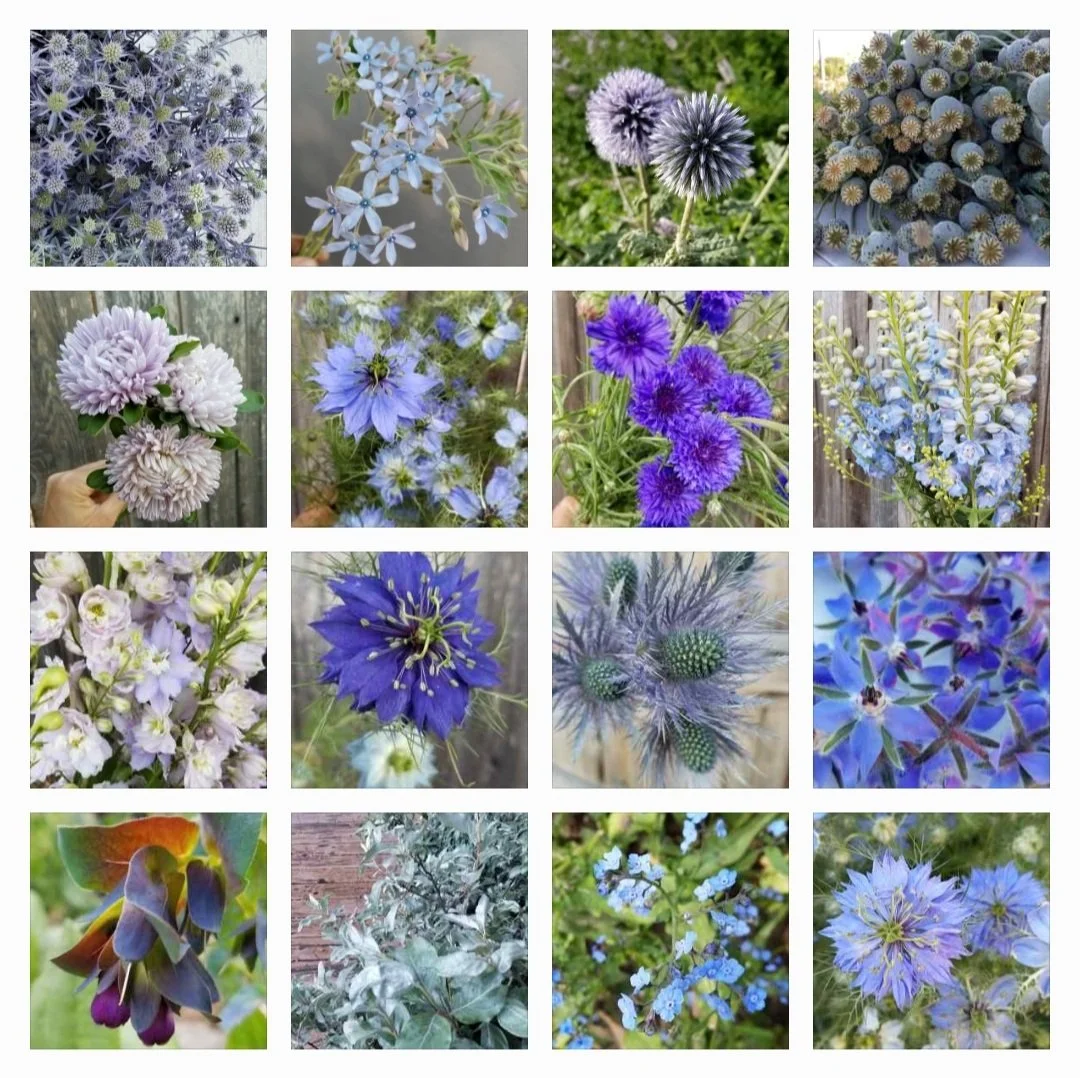 Farm-Fresh Color Palettes — Flathead Farmworks