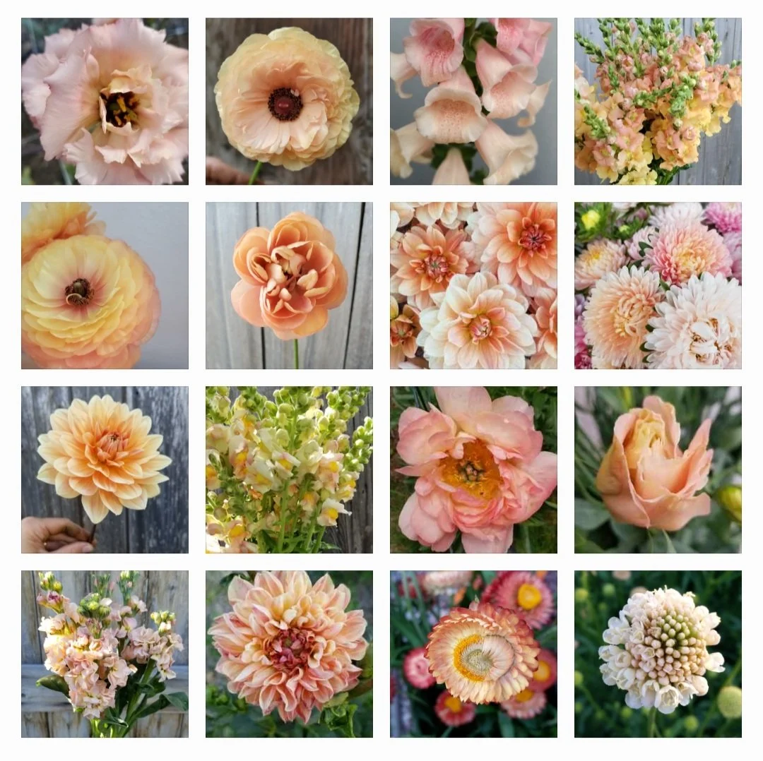 Farm-Fresh Color Palettes — Flathead Farmworks