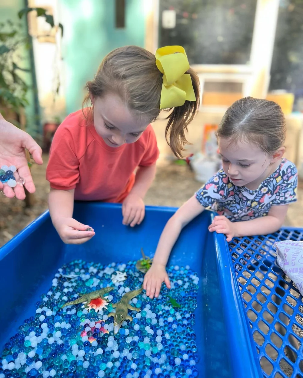 Community Nursery School