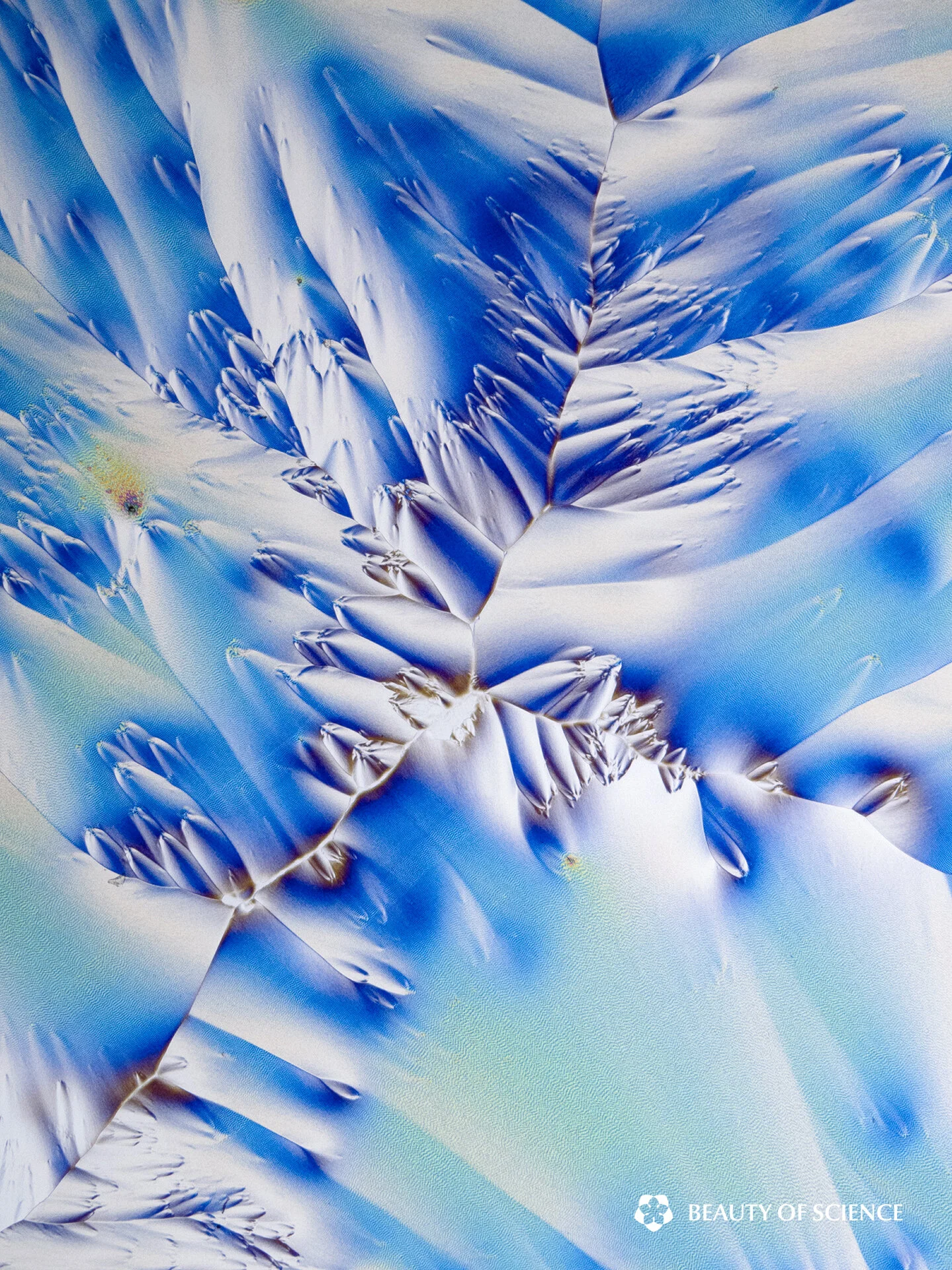 THE VIBRANCY — Envisioning Chemistry