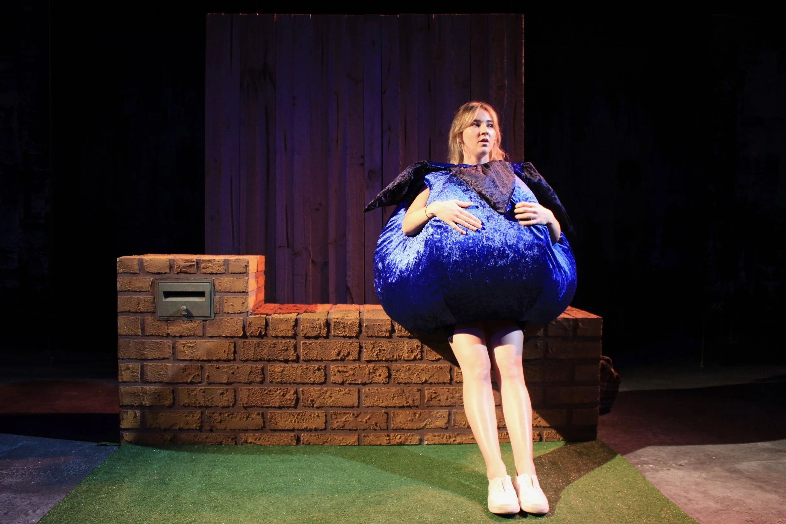 Blueberry Play — Nick Fry