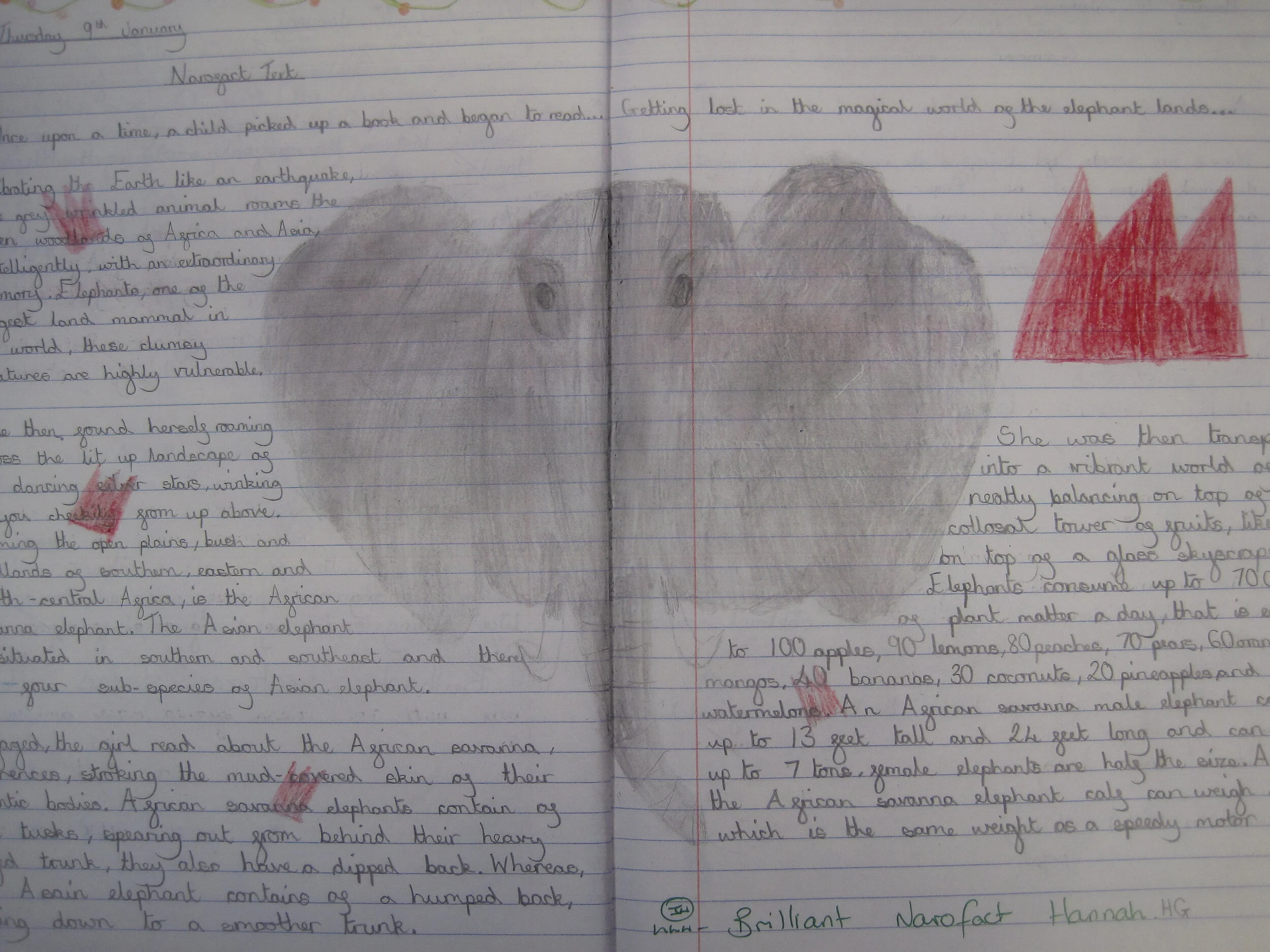 Wonderful Writing — Gentleshaw Primary Academy