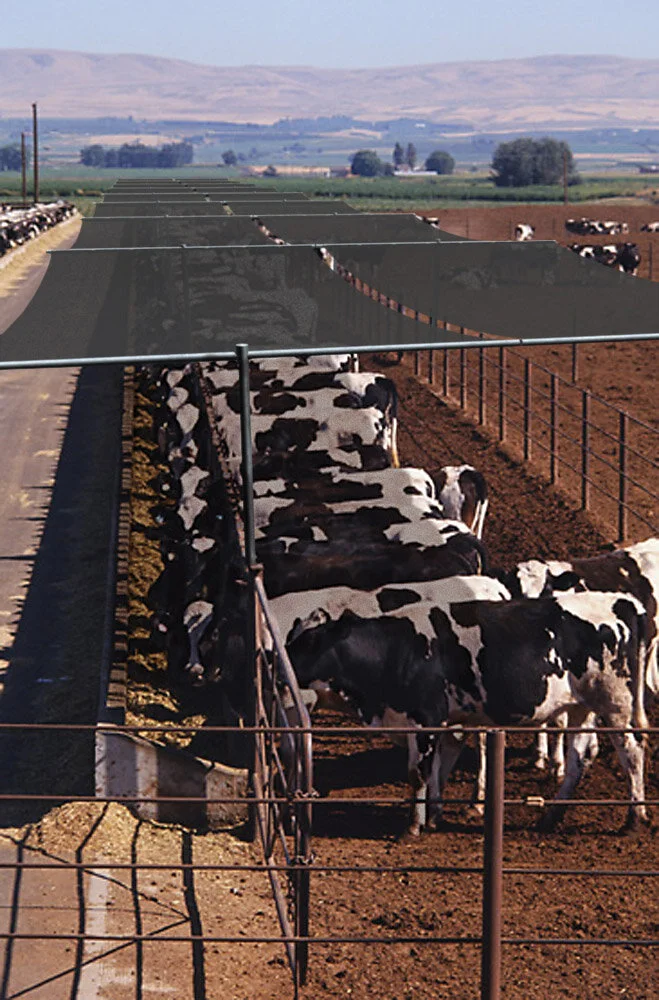 LIVESTOCK SHADE — Industrial Fabrics and Hardware