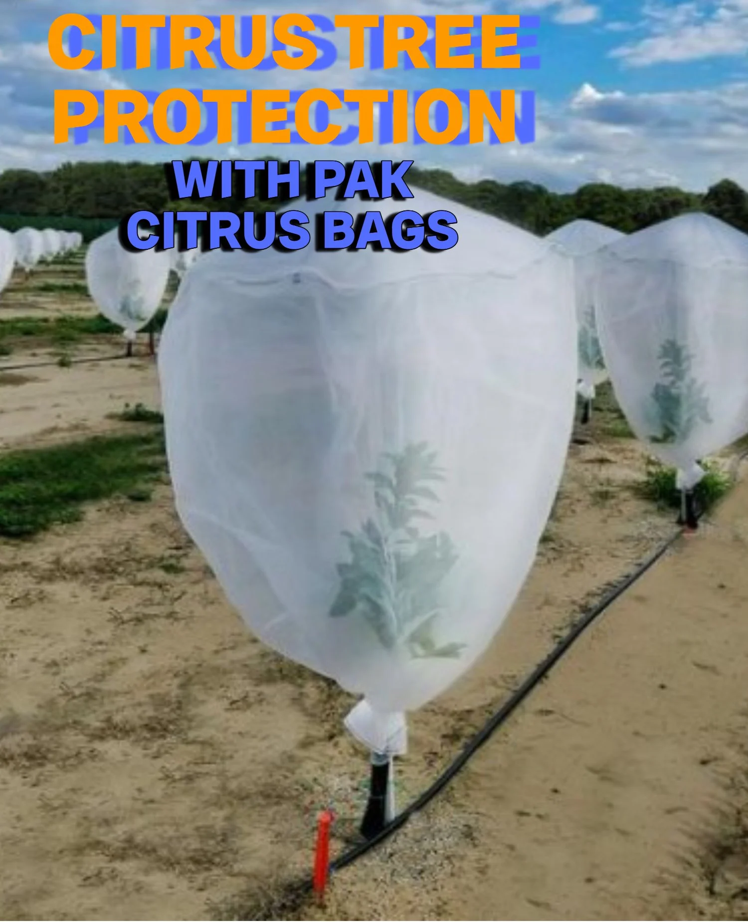 PAKGLOBAL — Industrial Fabrics and Hardware