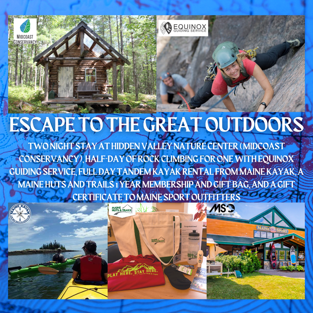 The Great Escape Online Auction — Wayfinder Schools