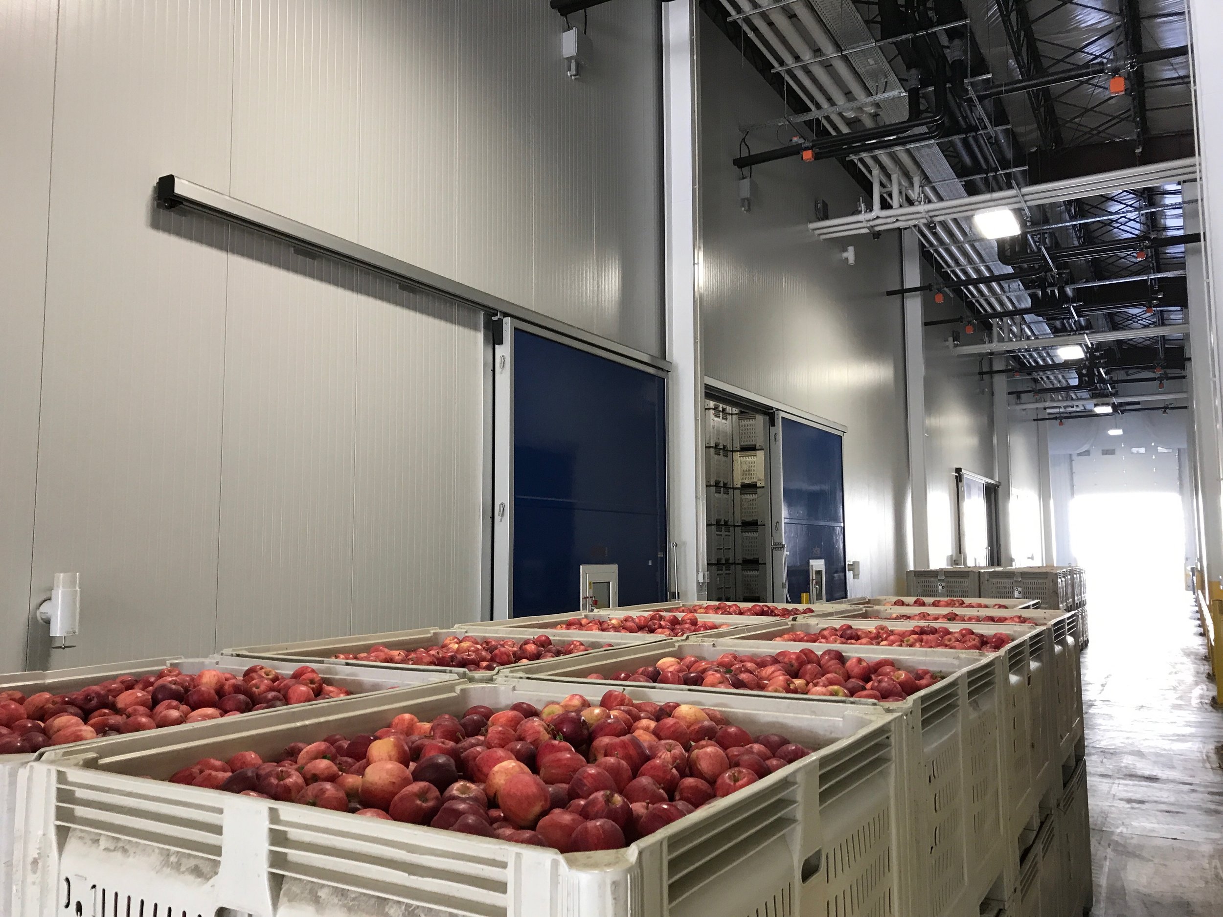 About Us — Sun Orchard Apples