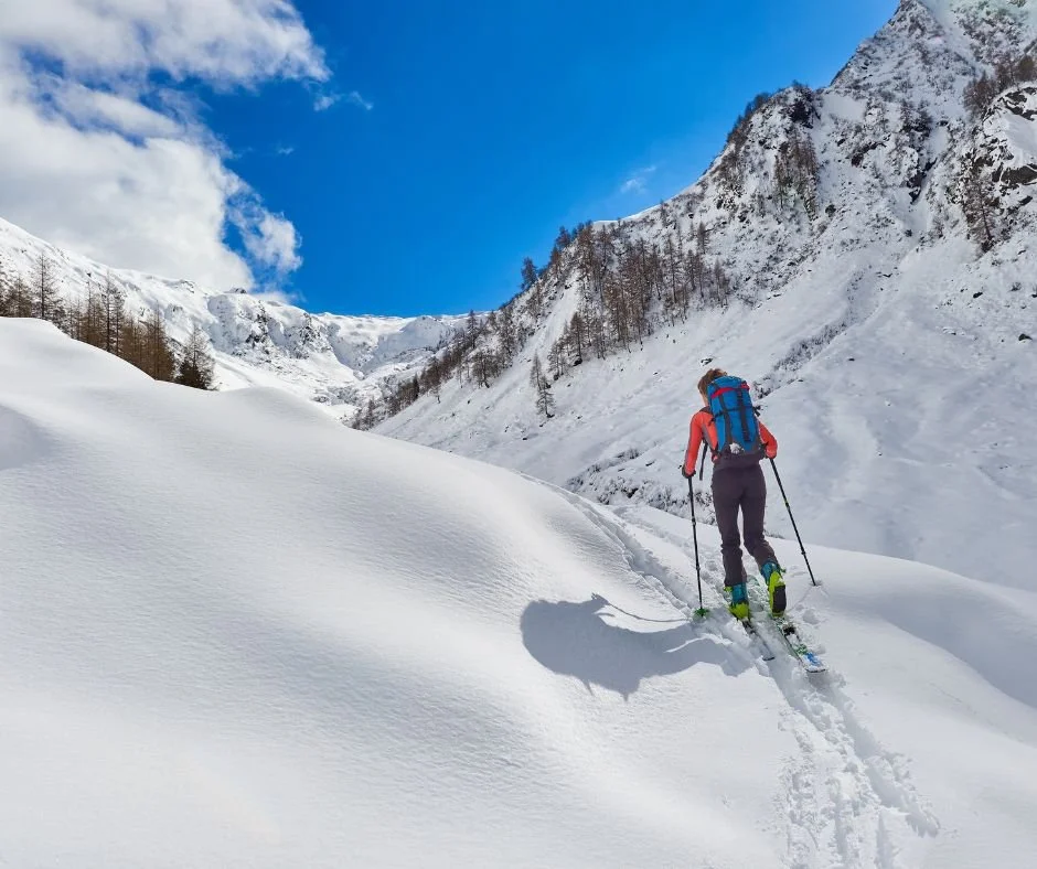 A Beginner's Guide to Ski Styles: Alpine, Cross Country or Backcountry ...