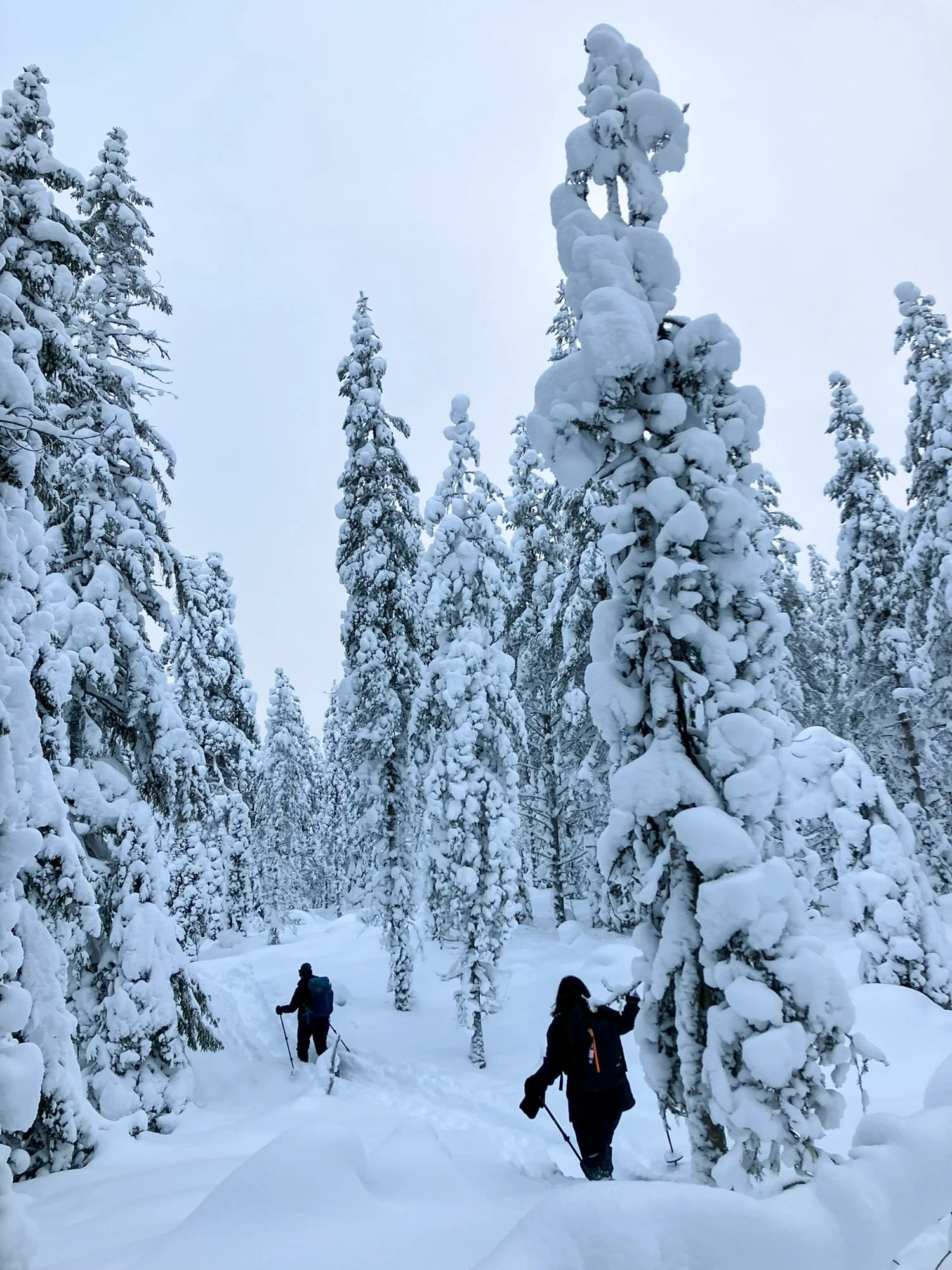 Gutsy Girls | Snowshoeing Expedition Holiday Finland