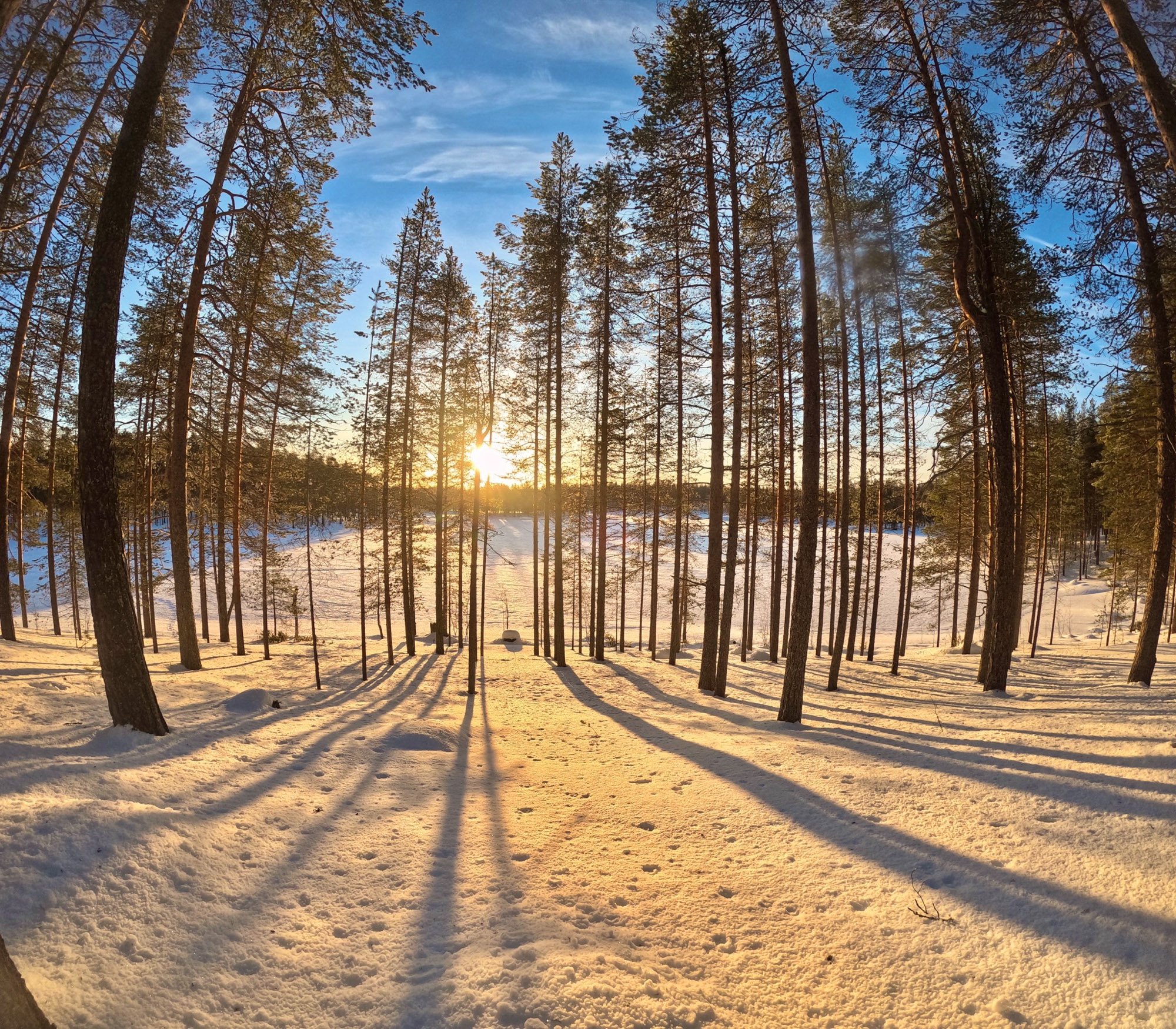 Gutsy Girls | Snowshoeing Expedition Holiday Finland