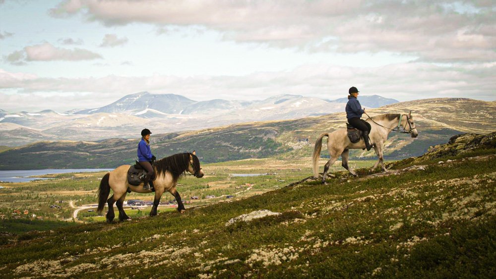 Gutsy Girls | Norway Horse Riding Holiday