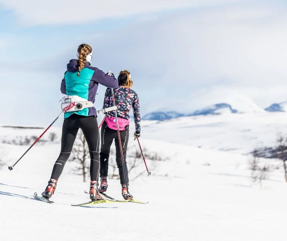 A Beginner's Guide to Ski Styles: Alpine, Cross Country or Backcountry ...