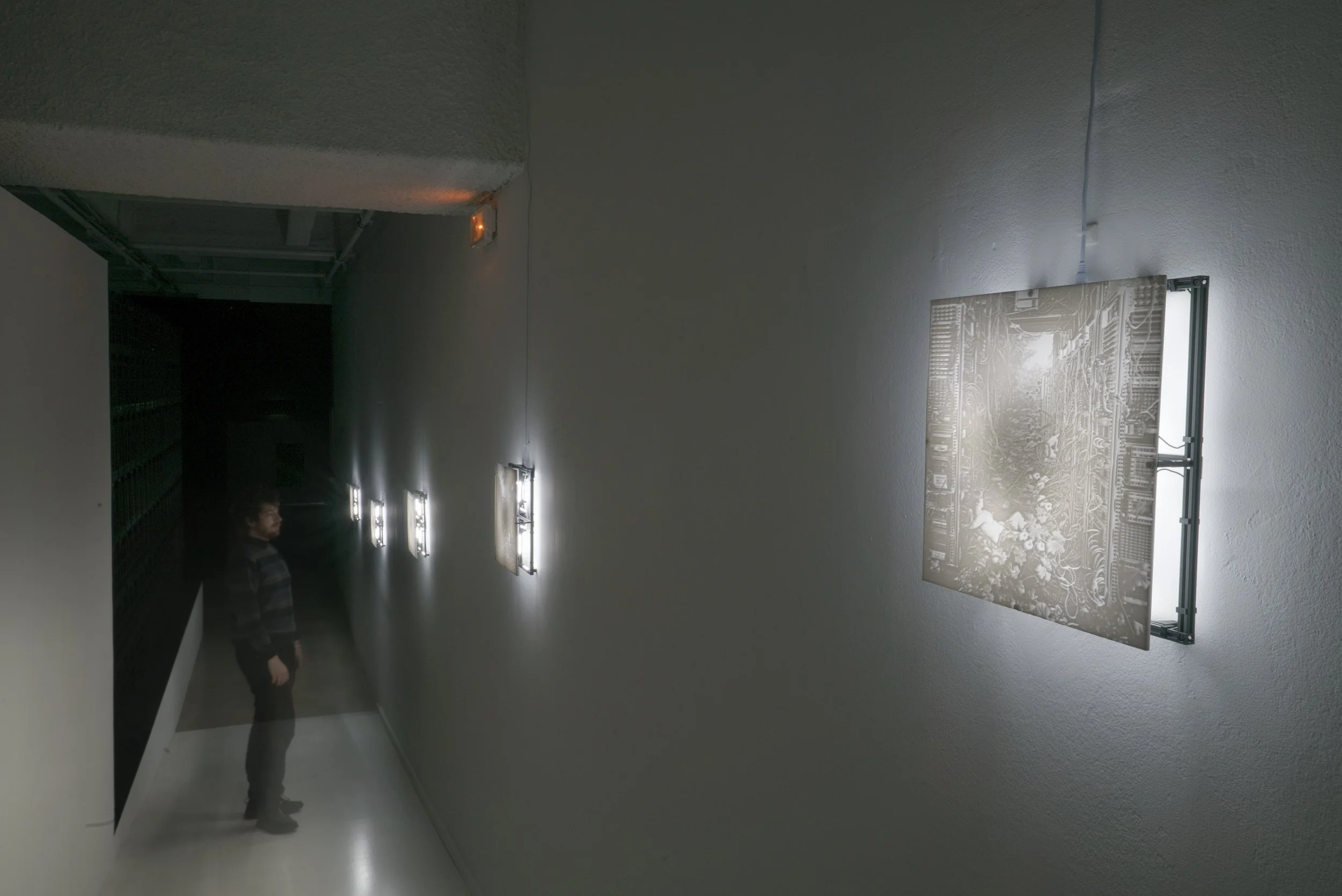 Augures — THOMAS GARNIER