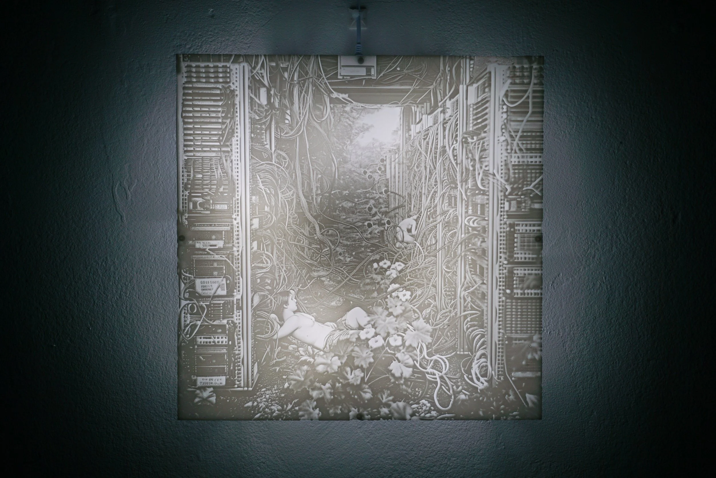 Augures — THOMAS GARNIER