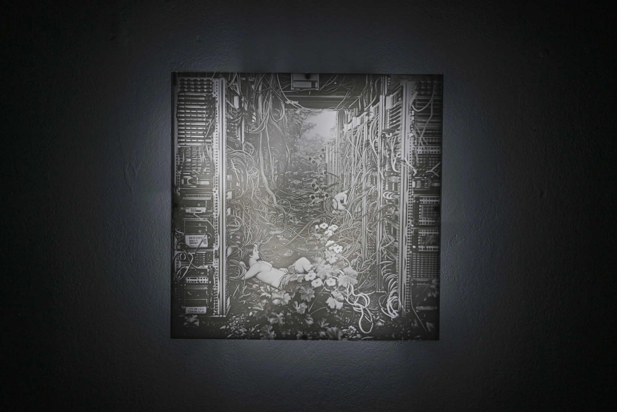 Augures — THOMAS GARNIER