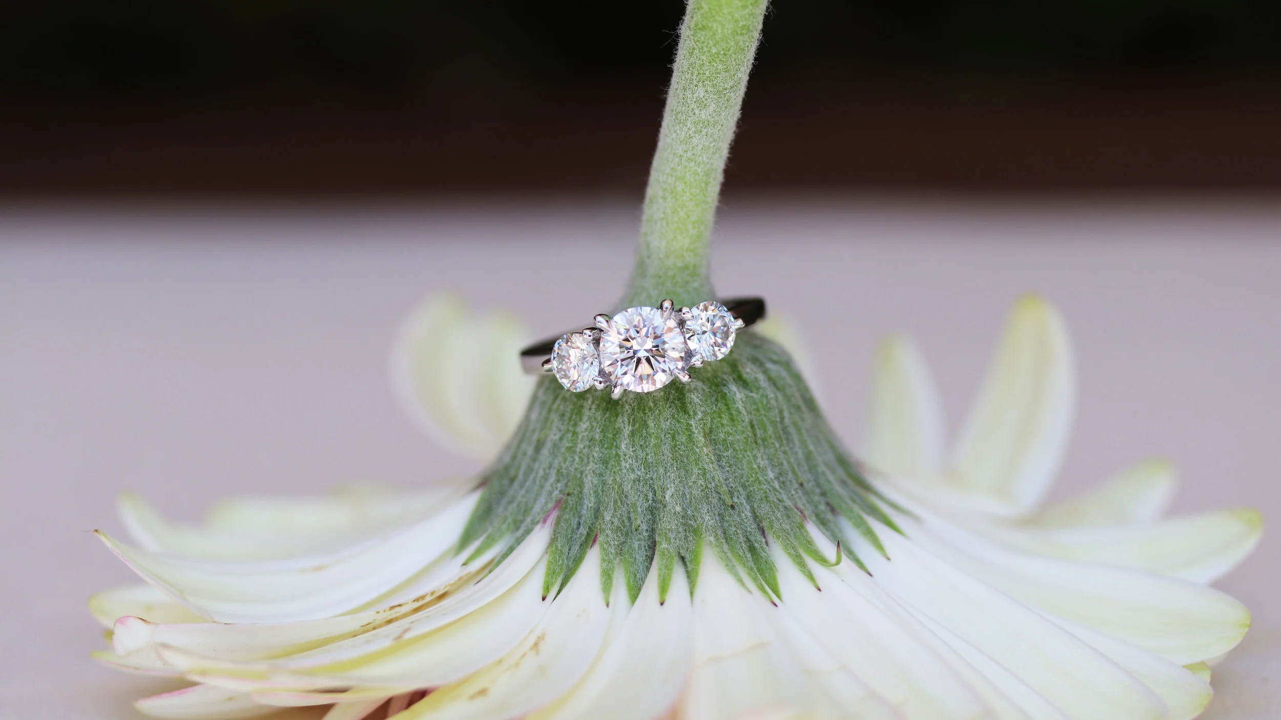 Three Stone Lab Diamond Engagement Ring Style Guide