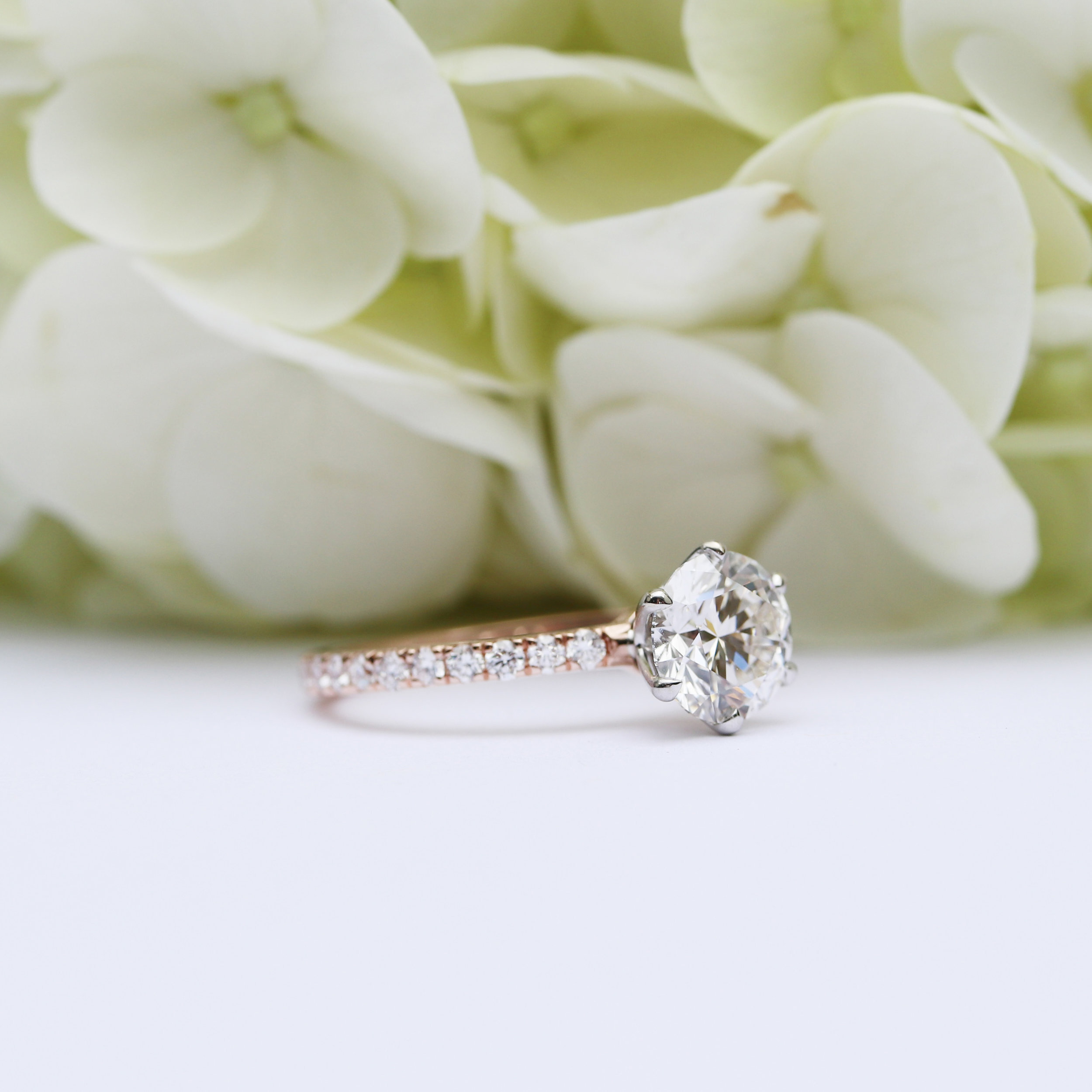 Round Six Prong Pavé Setting
