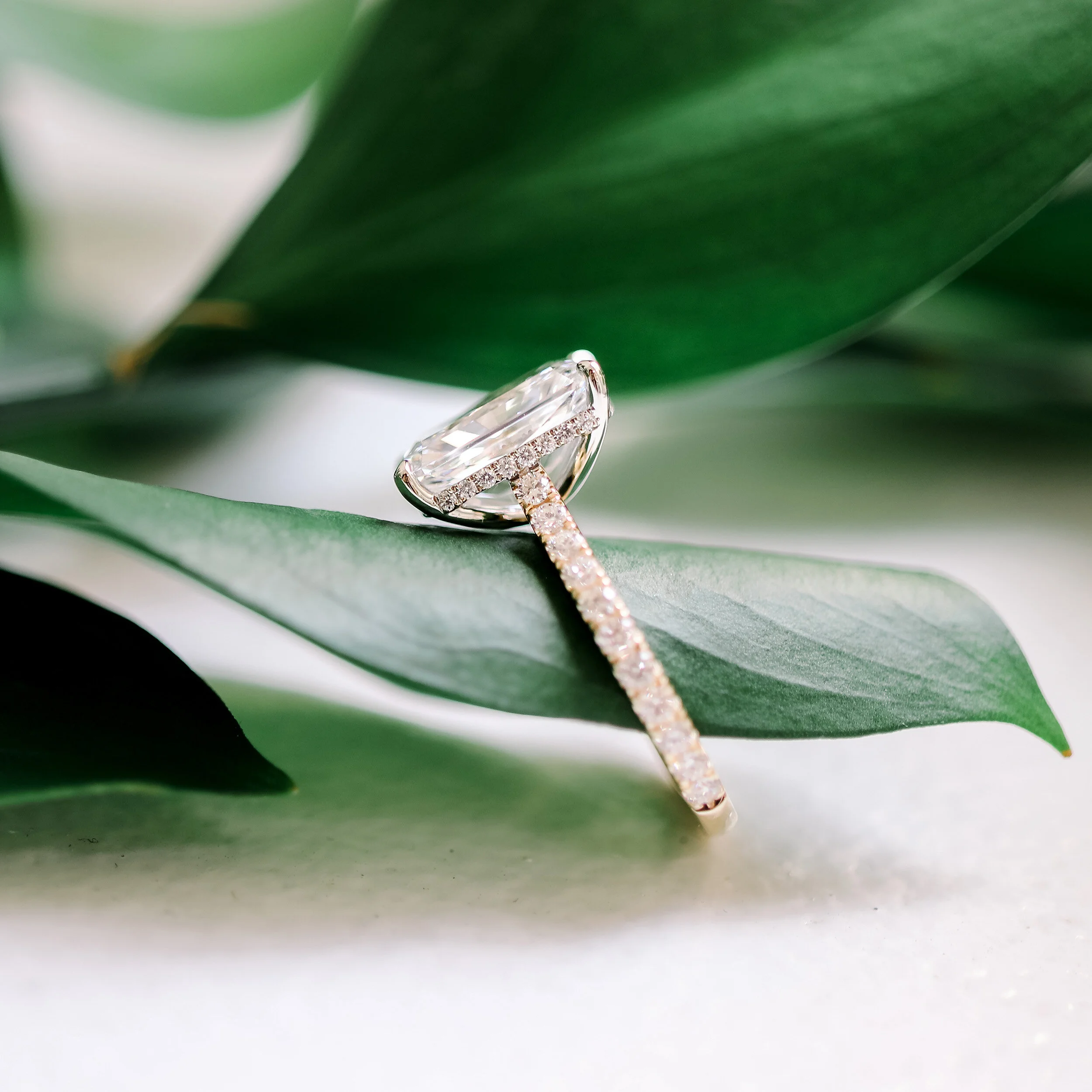 Radiant Cathedral Pavé Setting