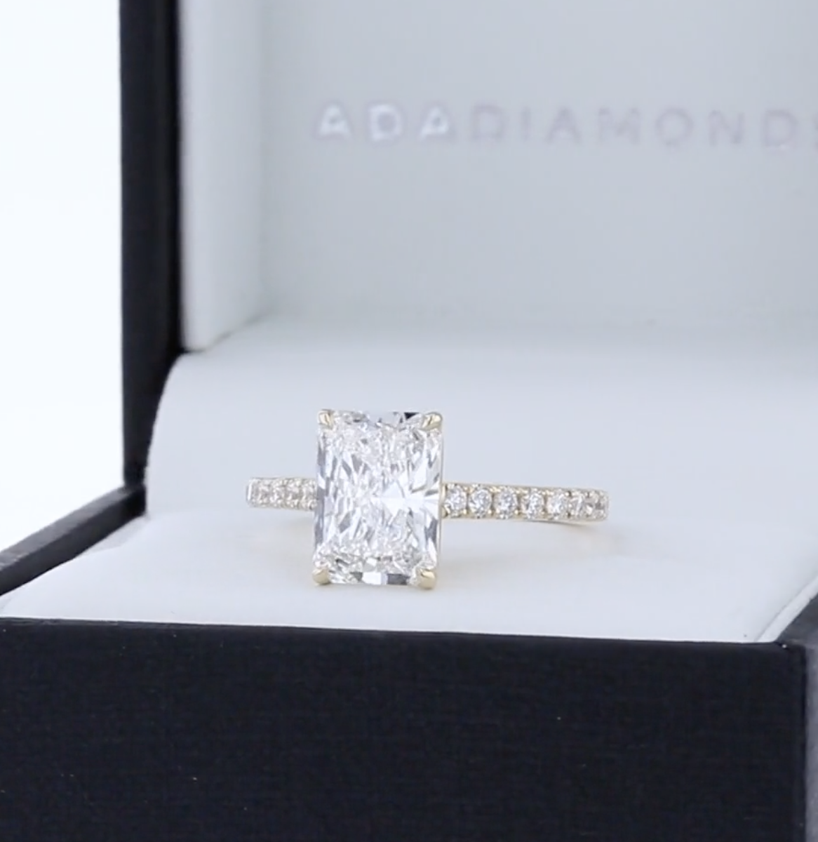 Radiant Cathedral Pavé Setting