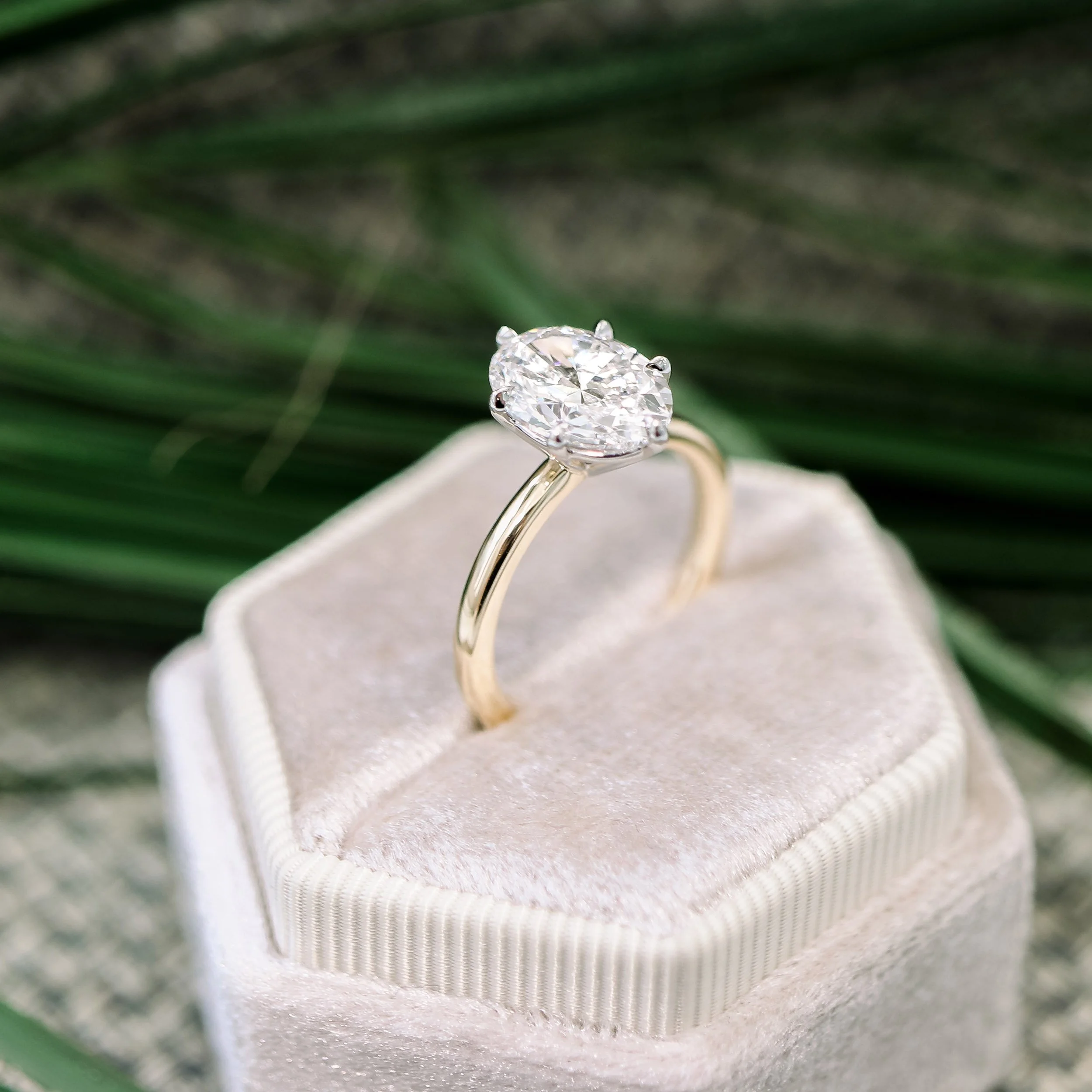 Proposal Ring