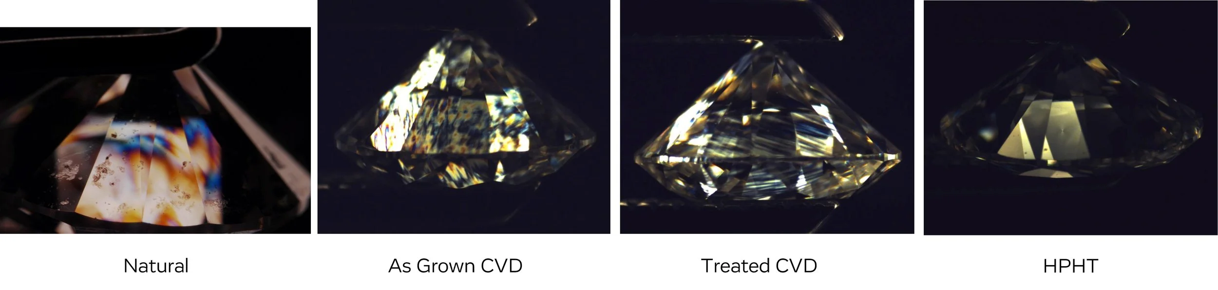 Ada Diamonds Founders at GIA