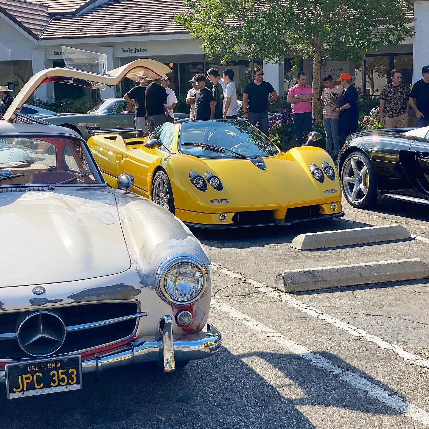 The Motoring Club | Car Enthusiast Club