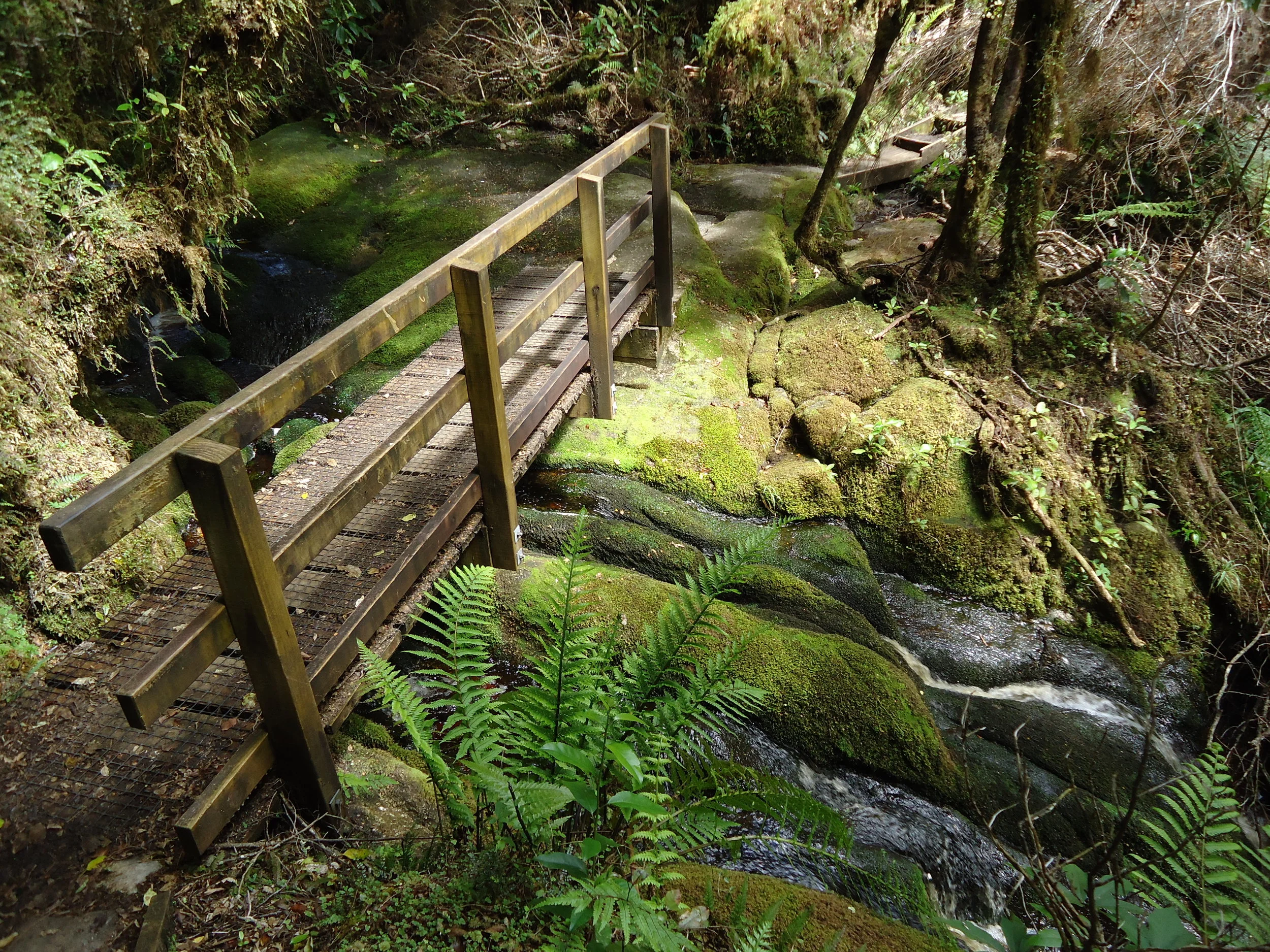 Karamea — Karamea Information Centre