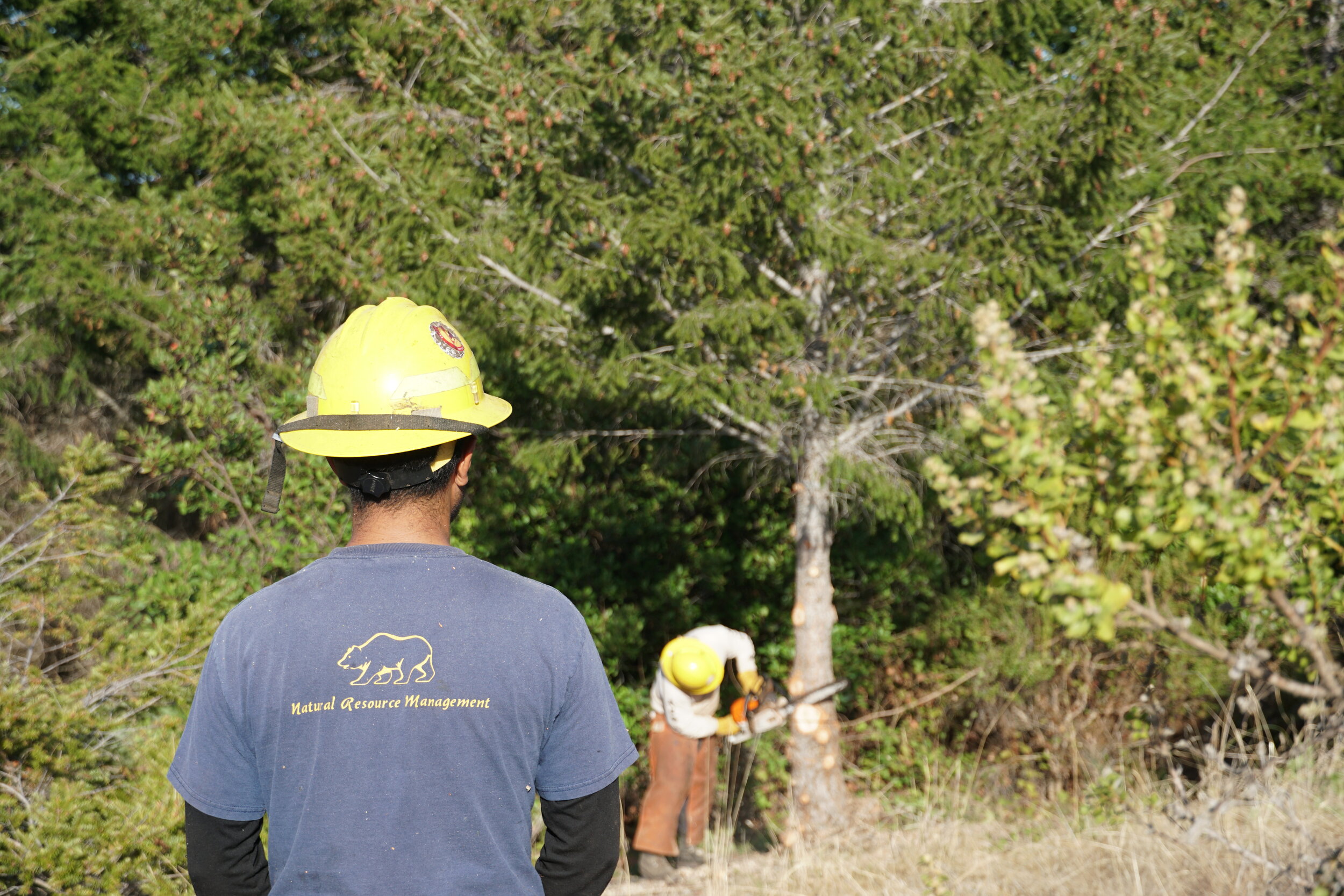 Native Stewardship Corps — Amah Mutsun Land Trust