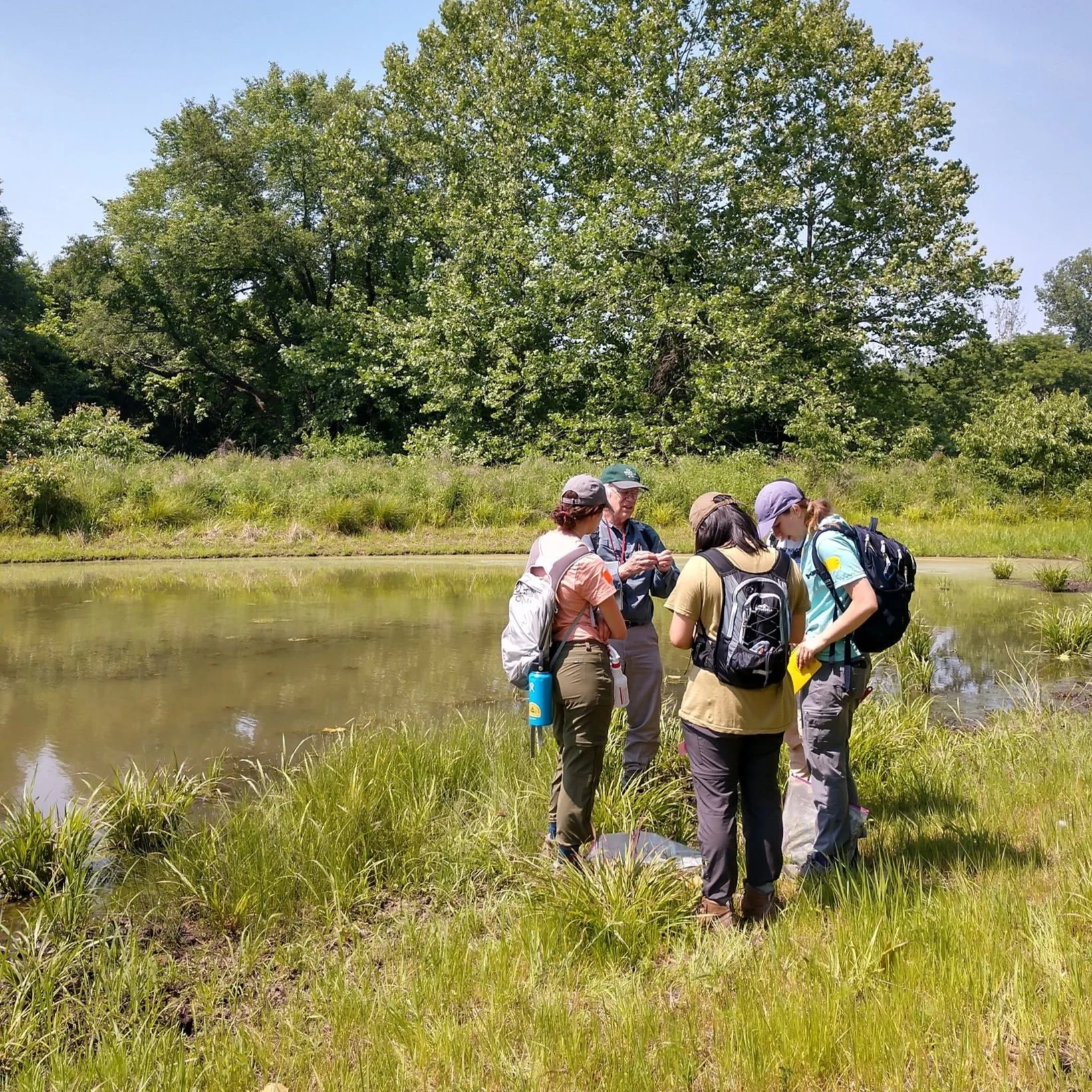 Undergraduate Opportunities — Tyson Research Center